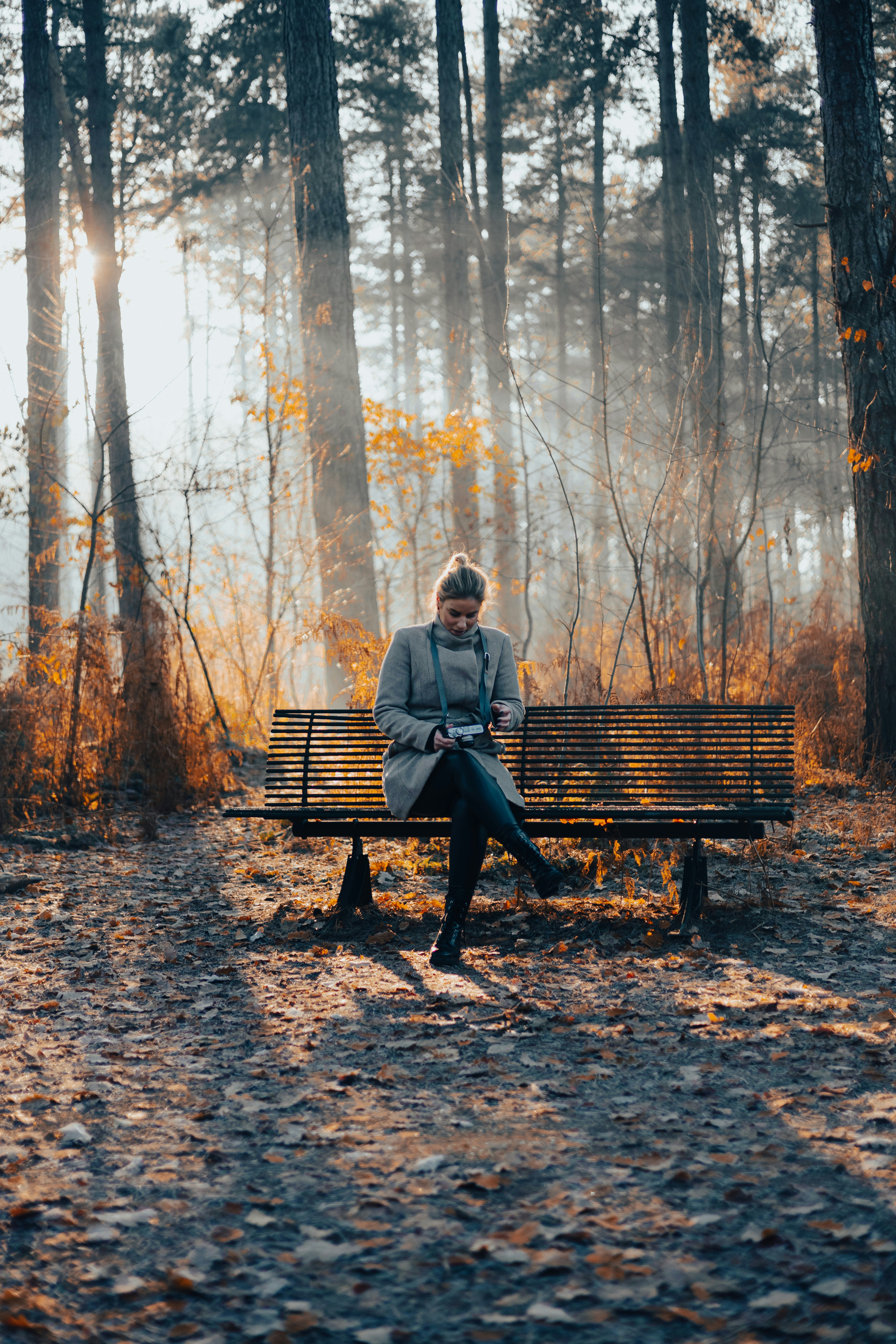 A person sitting on a bench in the woods photo – Free Person Image on ...