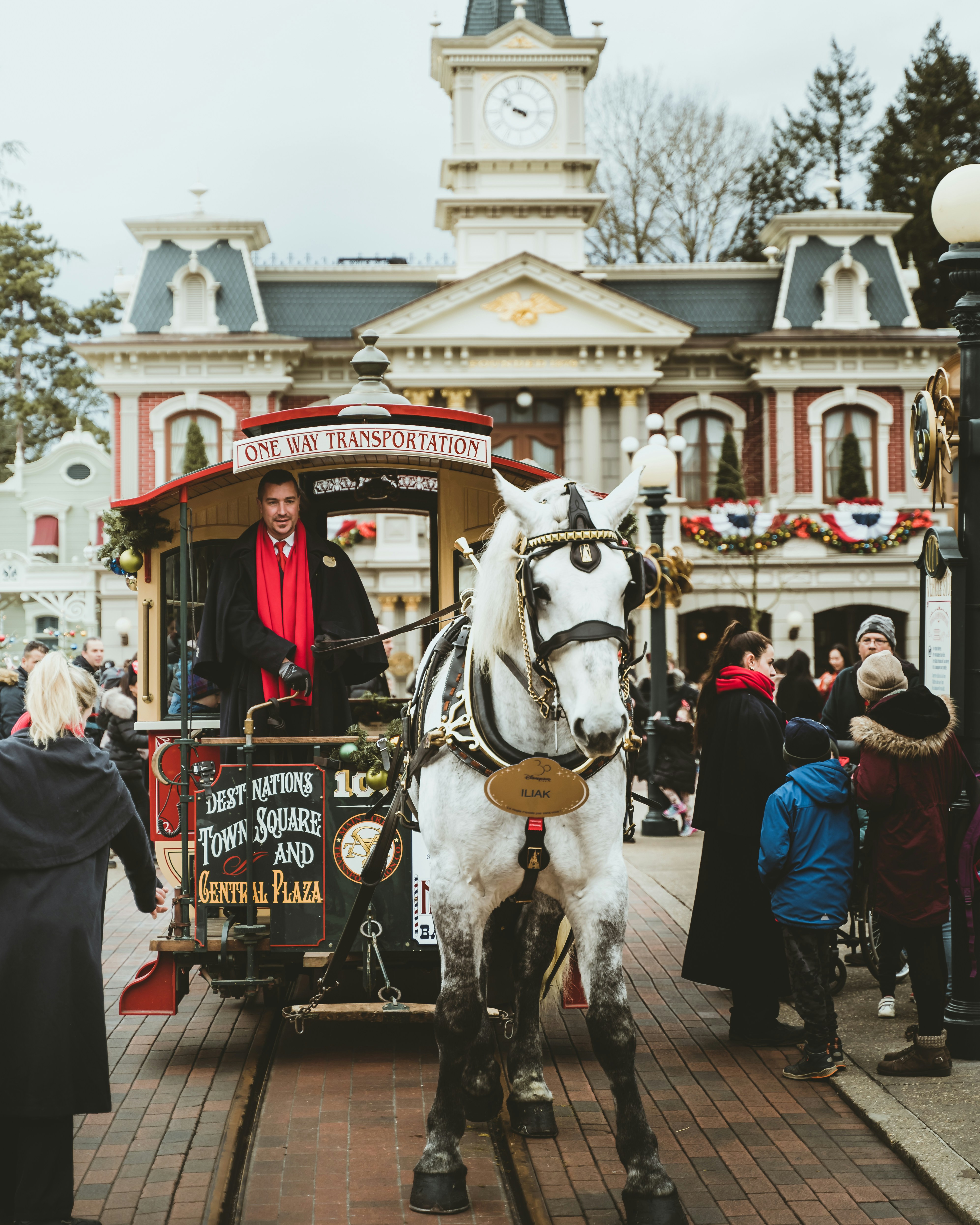 A white horse pulling a carriage down a street photo – Free Boulevard ...