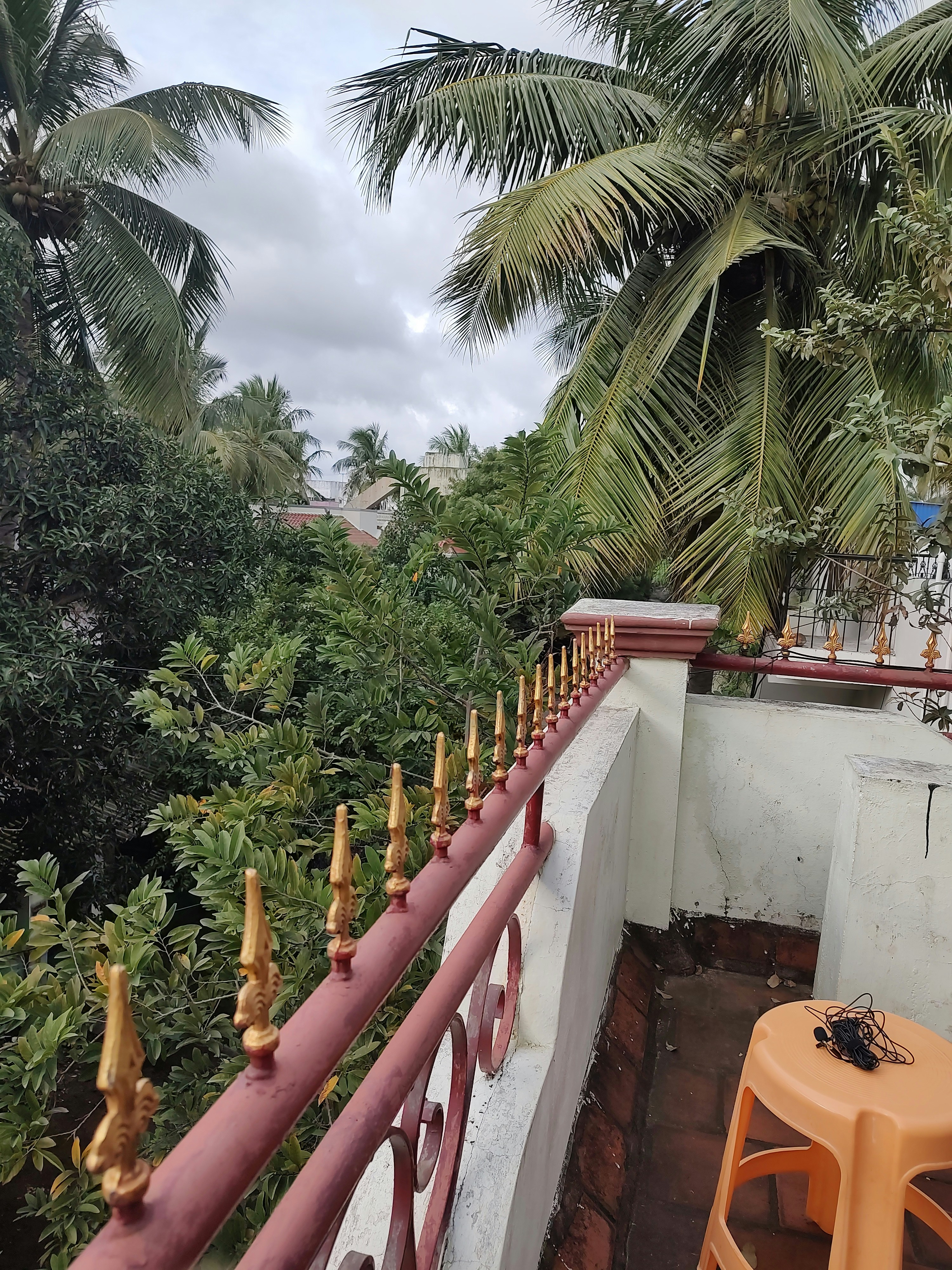 Terrace View Beyond the Palm-Rimmed Balcony