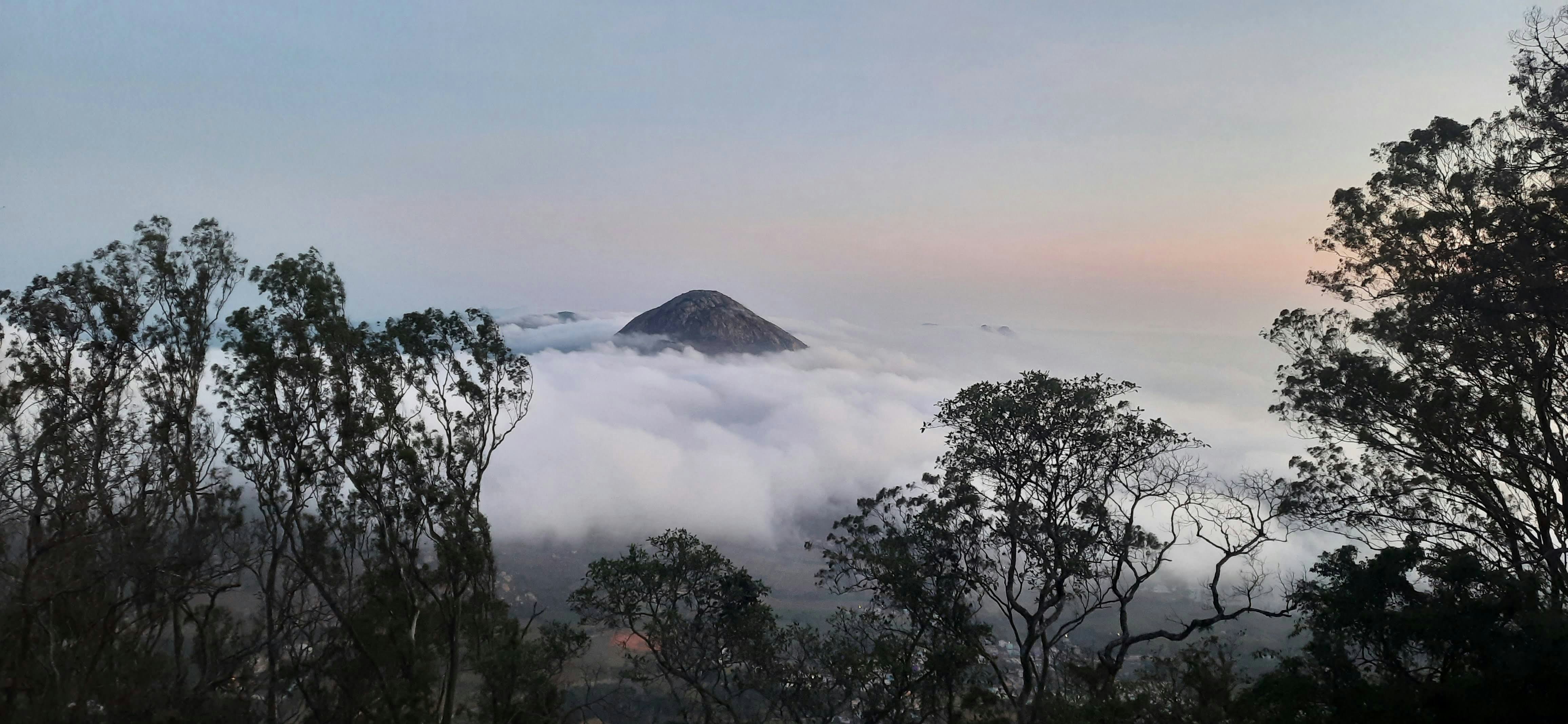 Dawn Summit Emerges Through a Sea of Clouds