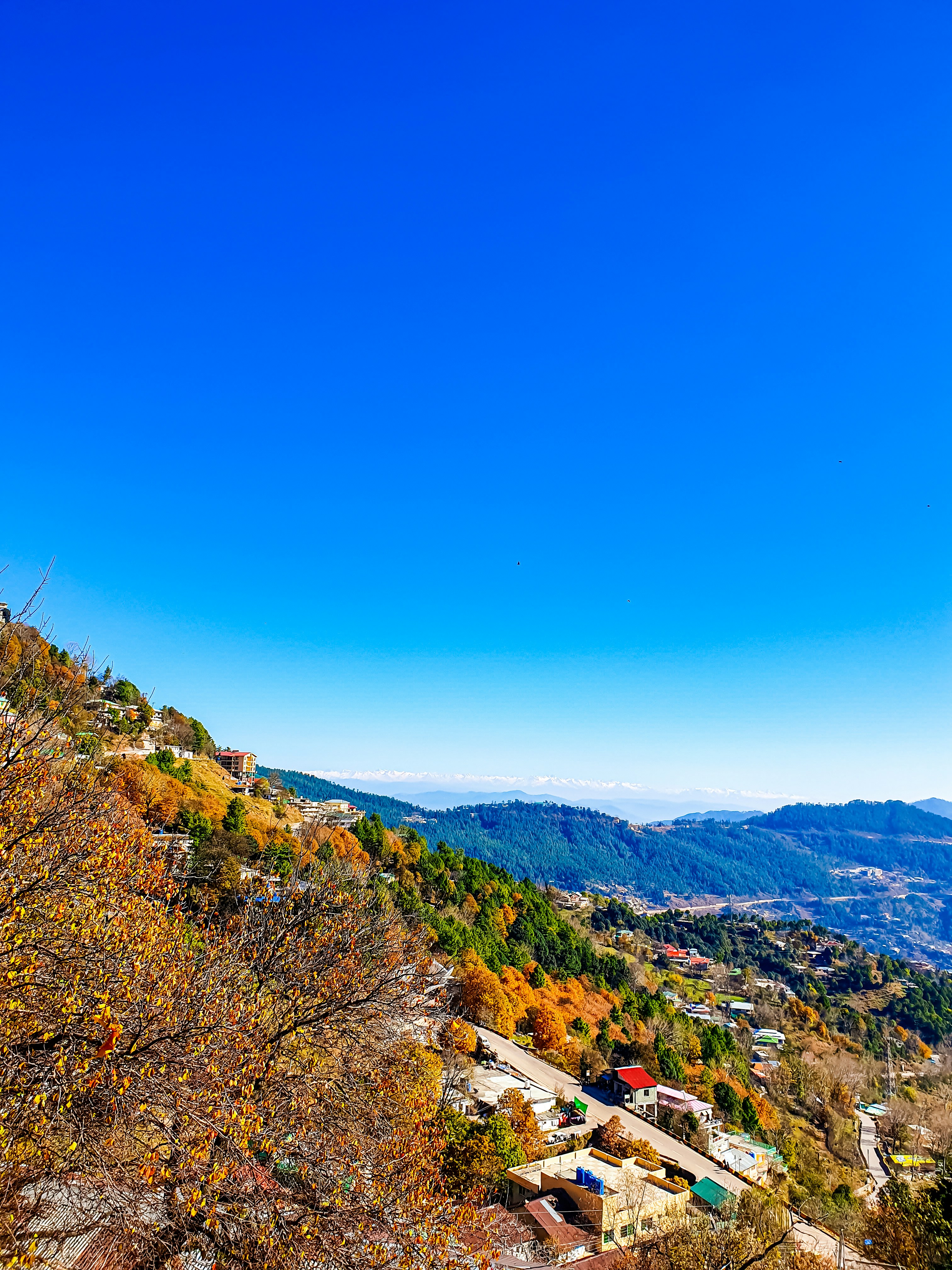 Sunny hillside town spilling down a golden valley under a vast cobalt sky