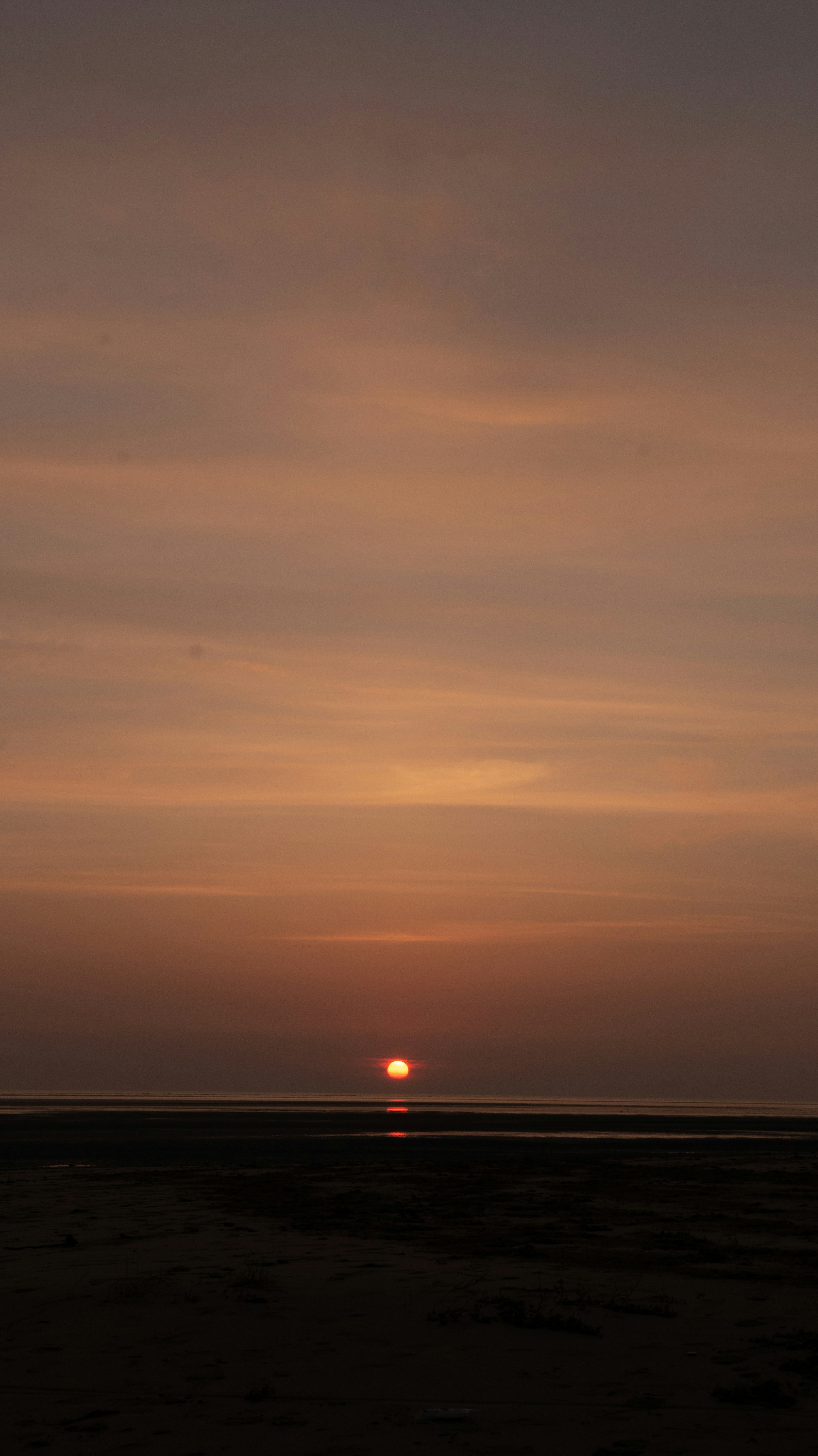 Horizon Ember: A Quiet Sunset Over Tidal Sands