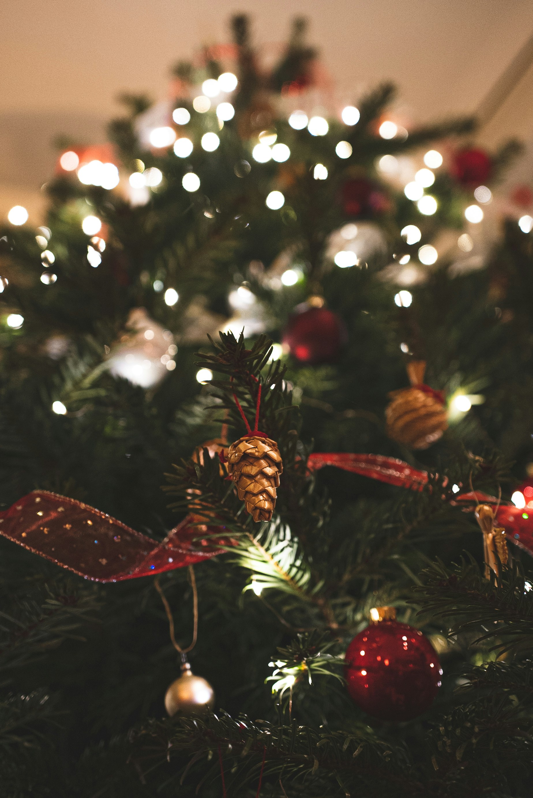 A close up of a christmas tree with lights photo – Free Tree Image on ...