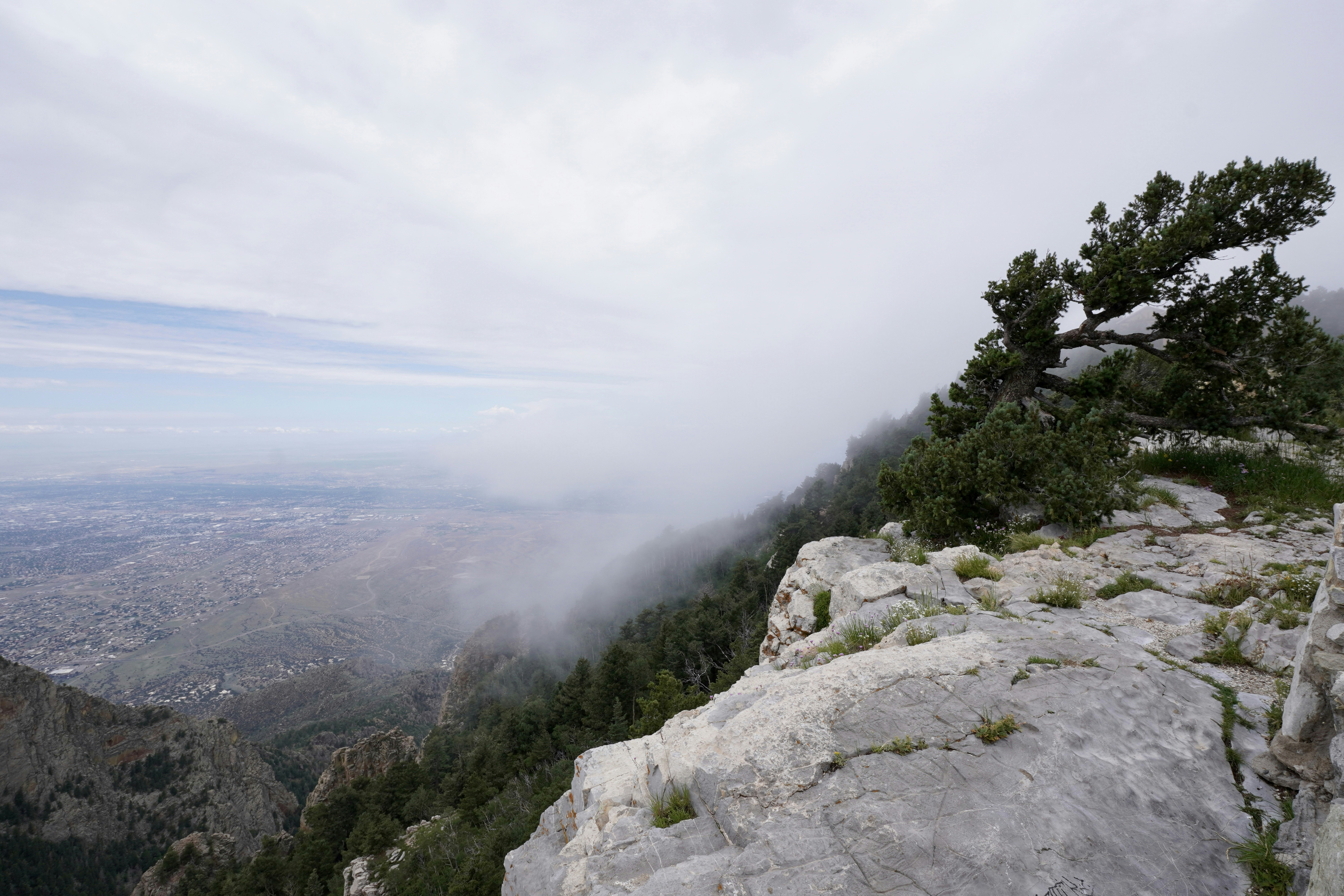 Whispers of the Mountain: A Misty Outlook