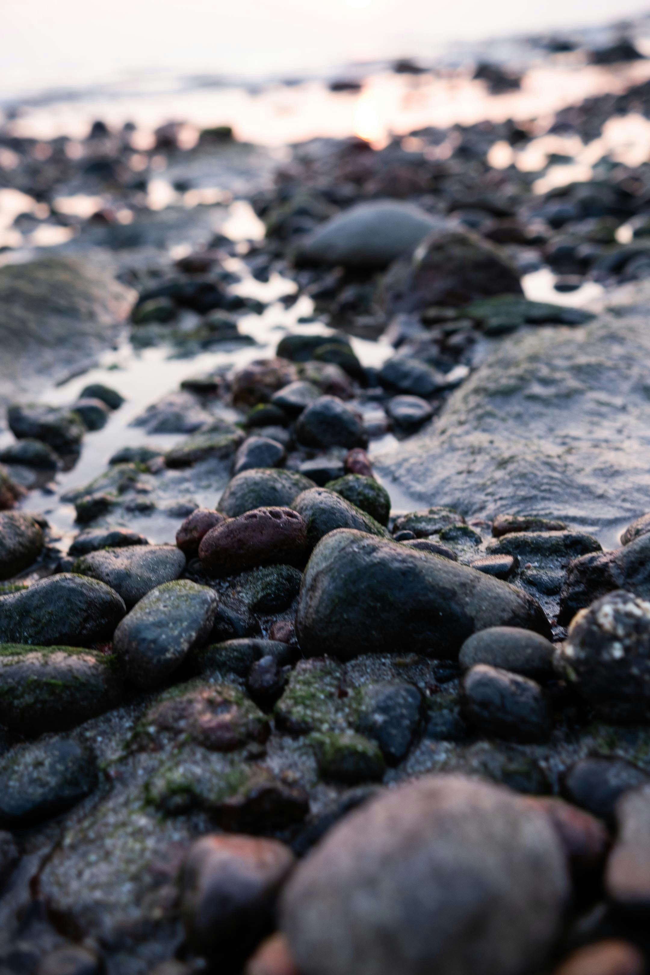 A close up of rocks and water on a beach photo – Free Shekhadi Image on ...