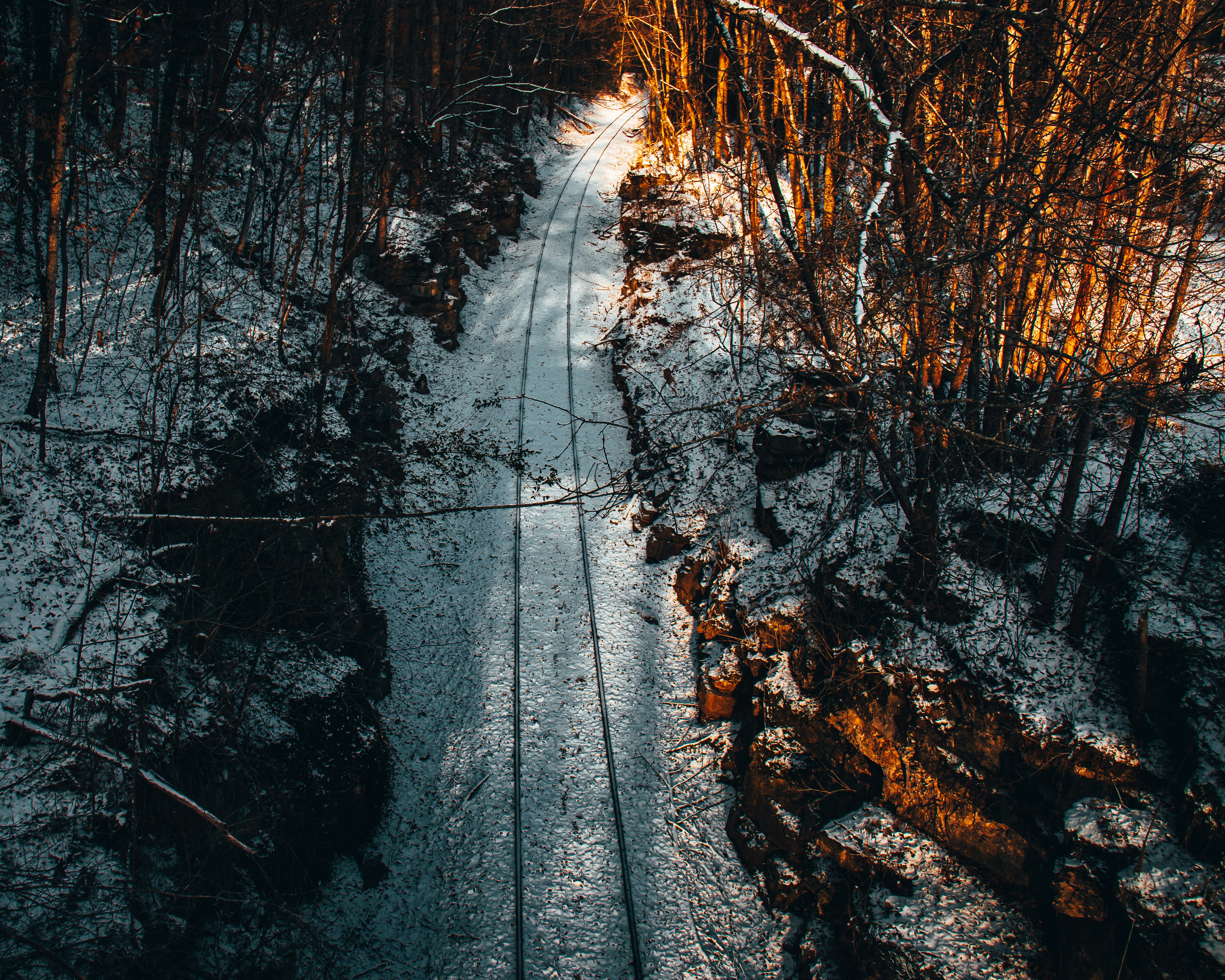 an aerial view of a path in the woods