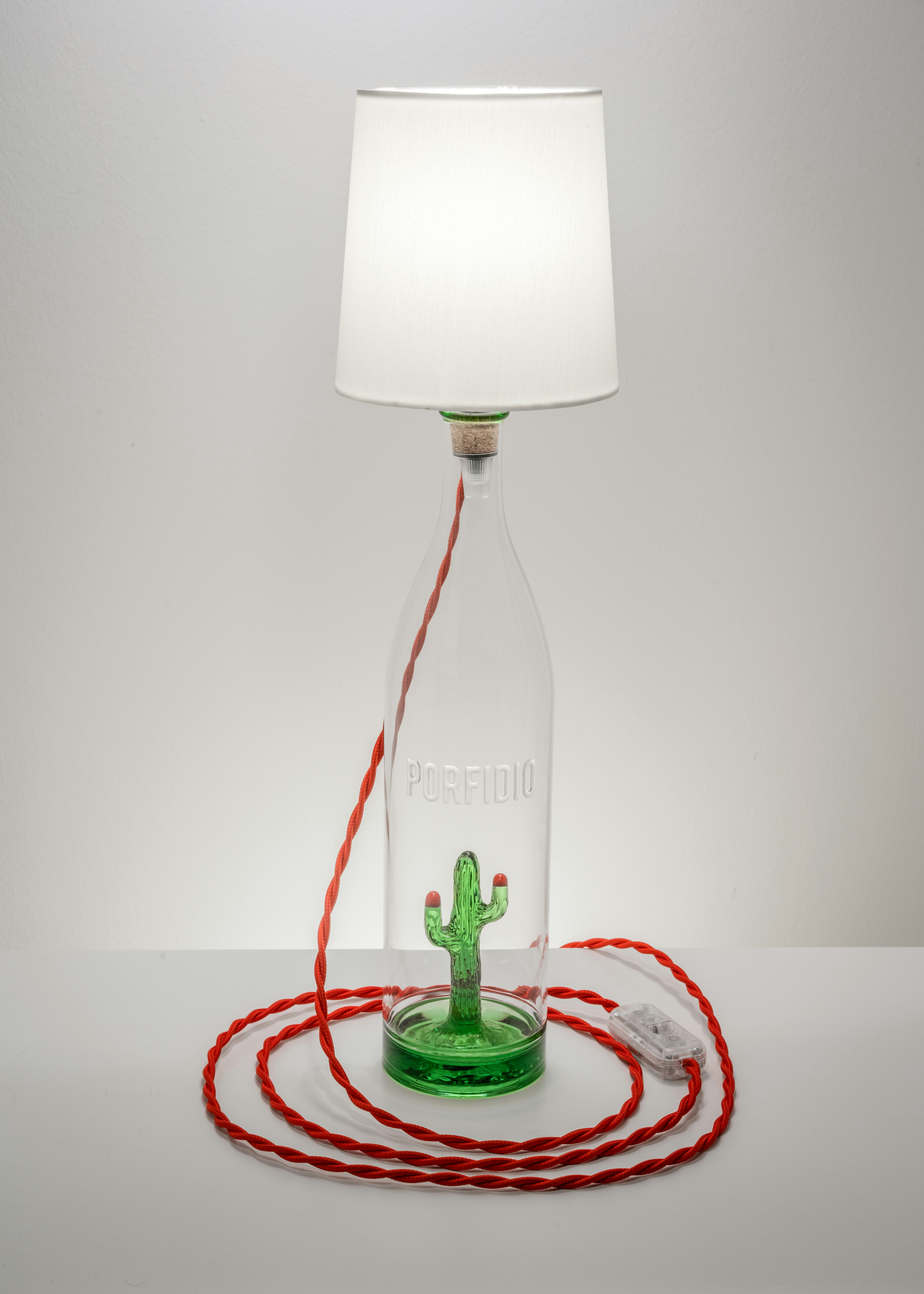 Cactus in a Bottle Lamp: A Minimal Still Life of Light, Color, and Cord