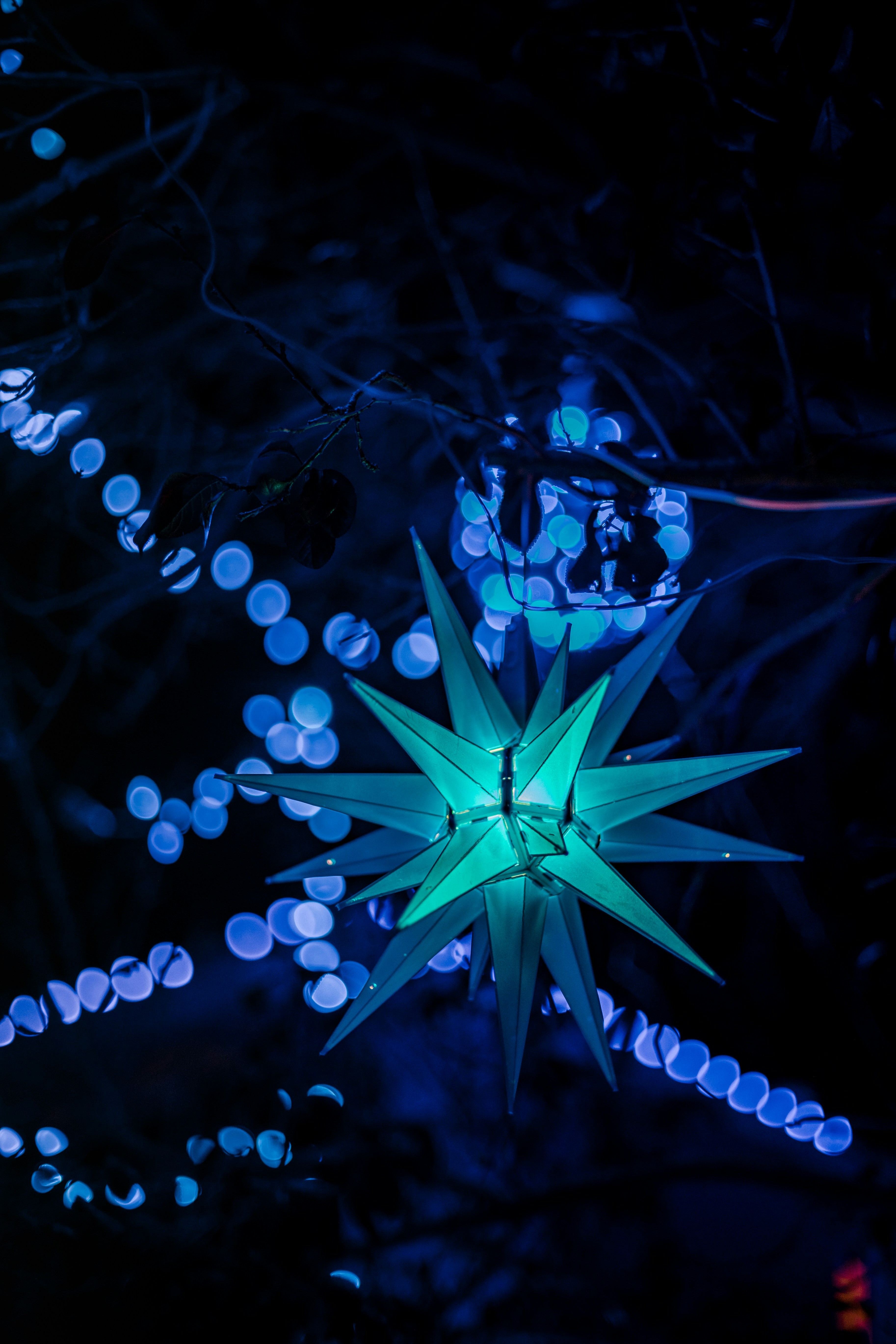 A large green and blue star hanging from a tree photo – Free Lighting ...