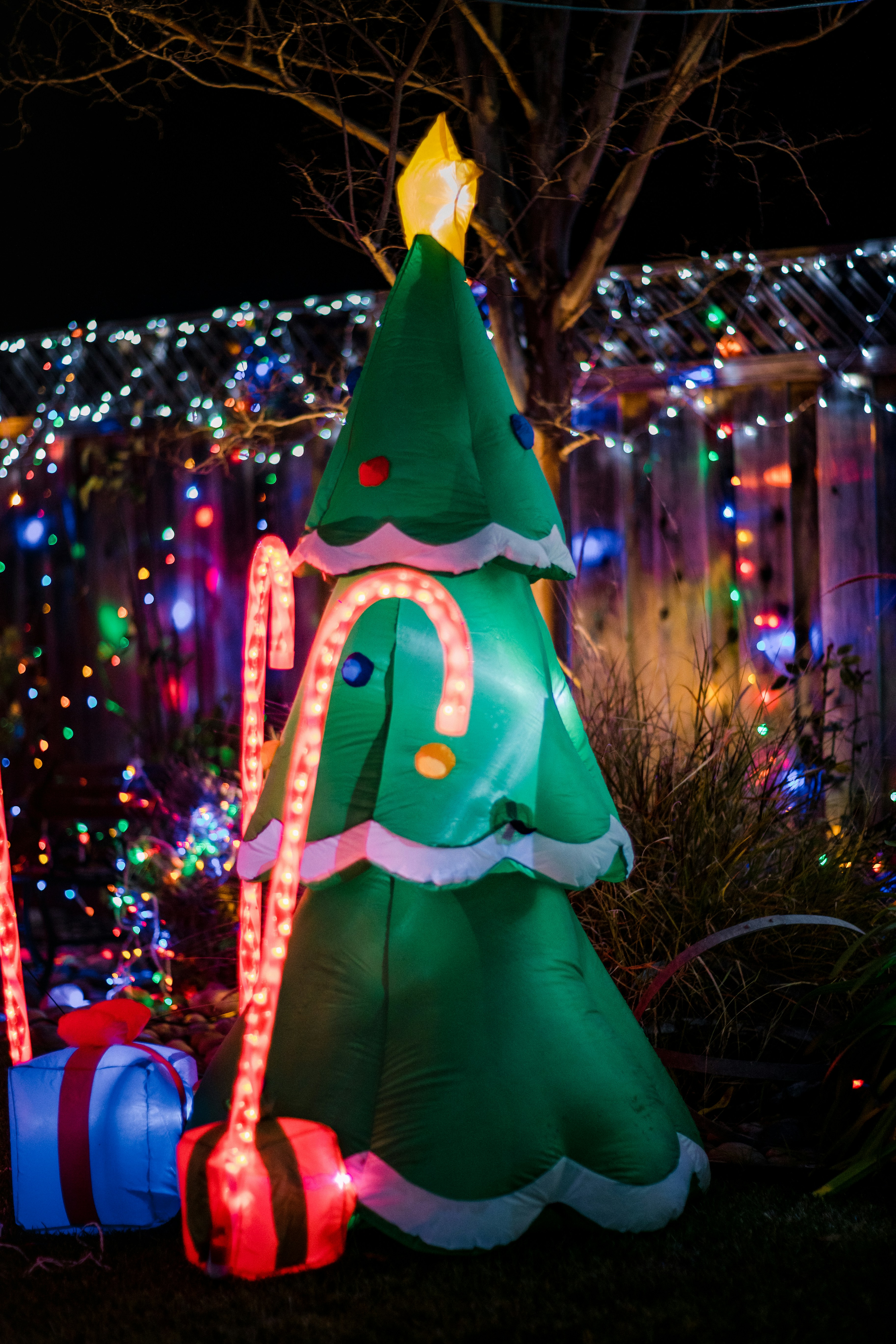 Glowing Inflatable Christmas Tree Surrounded by a Cascade of Fairy Lights