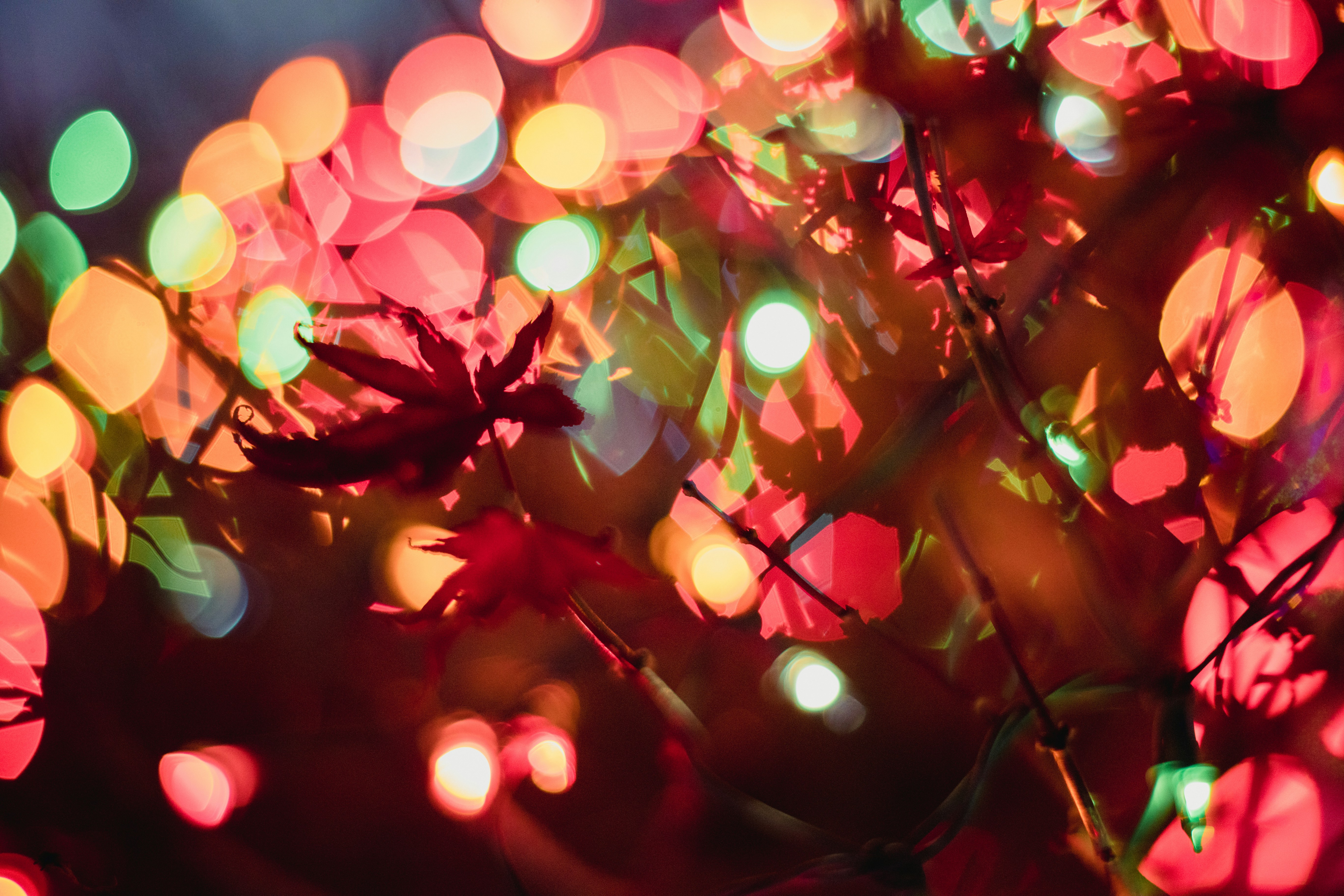 Un tas de lumières qui sont sur un arbre photo – Photo gratuite sur ...