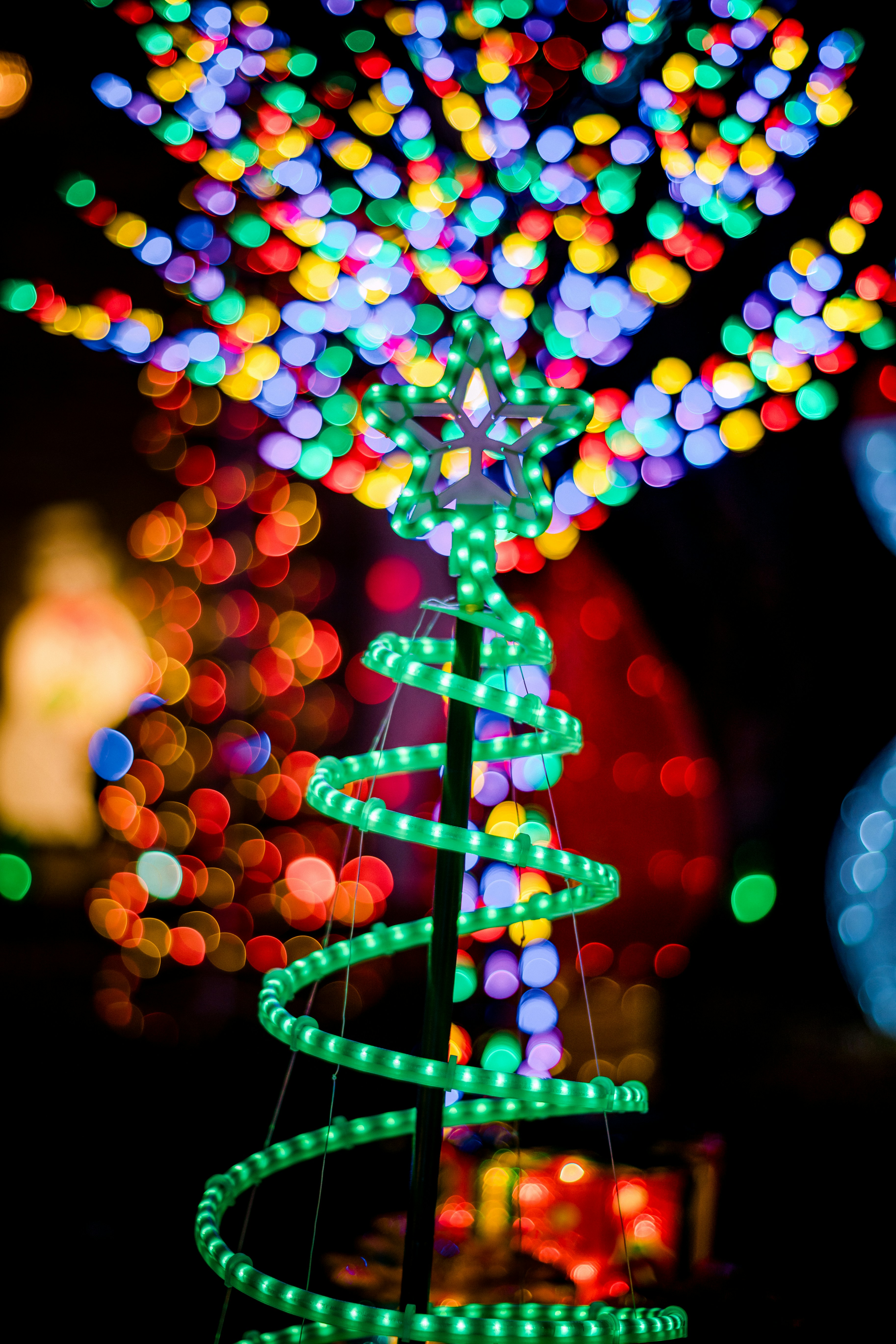 Un sapin de Noël illuminé devant un arbre brillamment éclairé photo ...