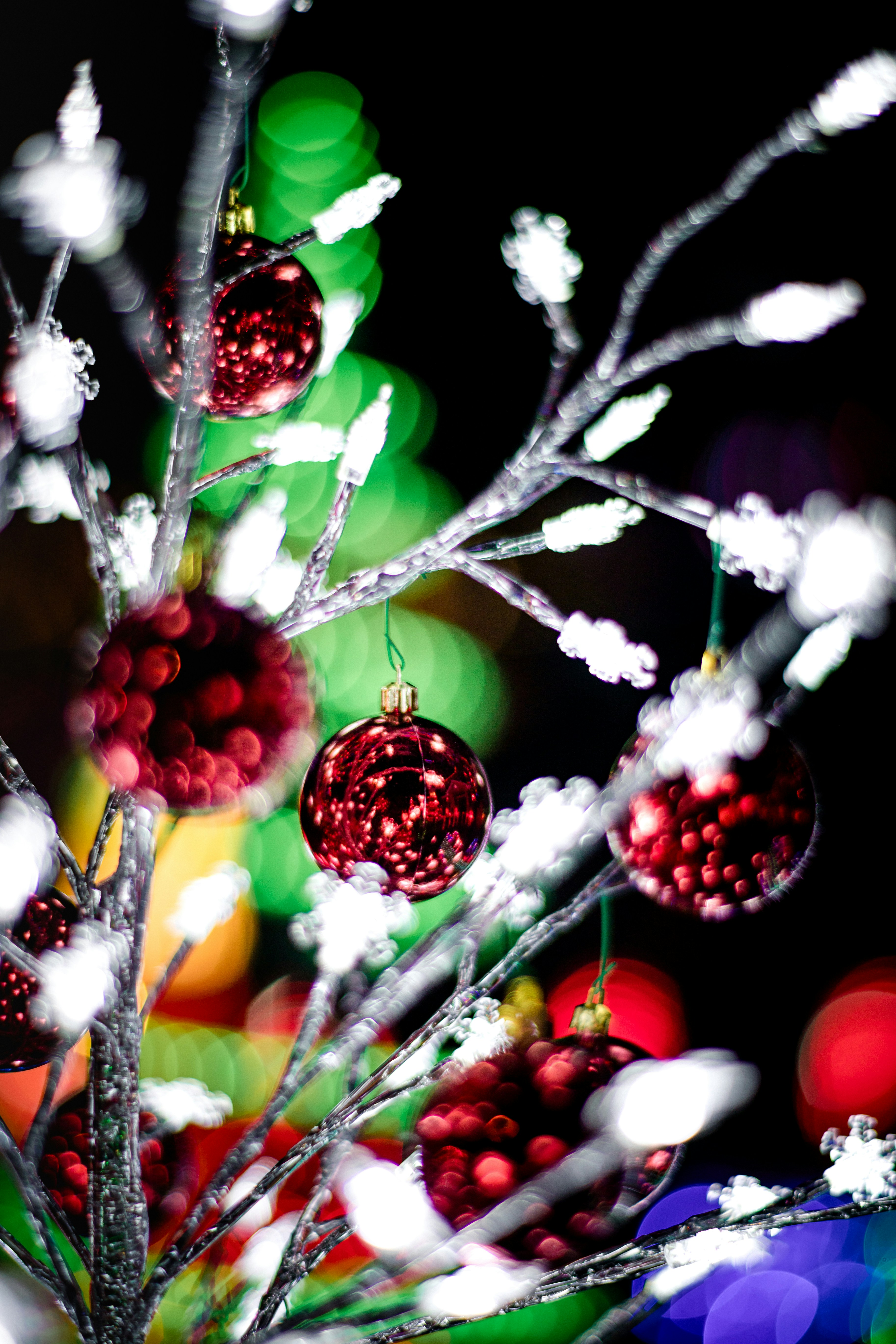 Crimson Orbs in a Snow-dusted Holiday Glow
