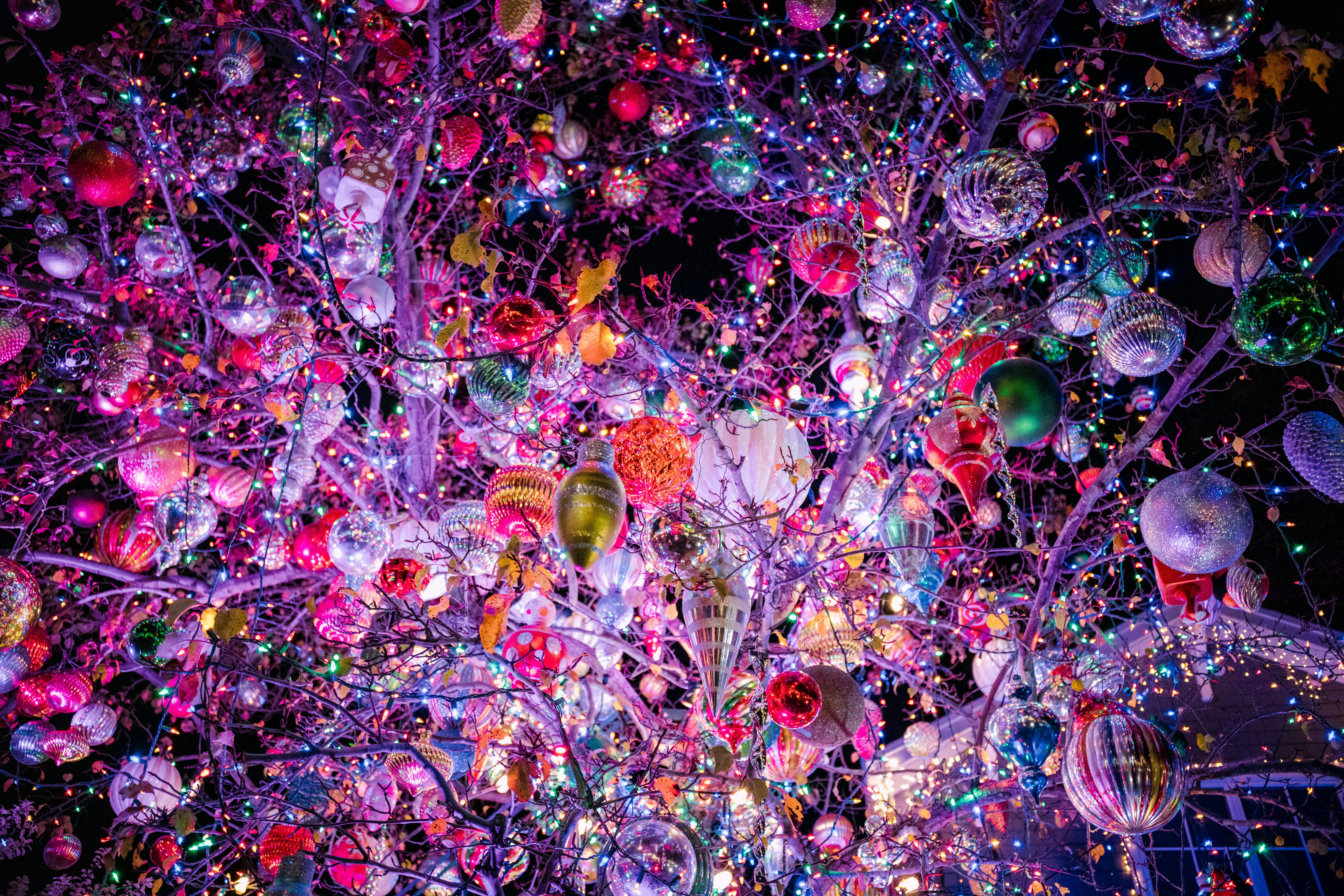 Un arbre rempli de nombreux ornements de couleurs différentes photo ...