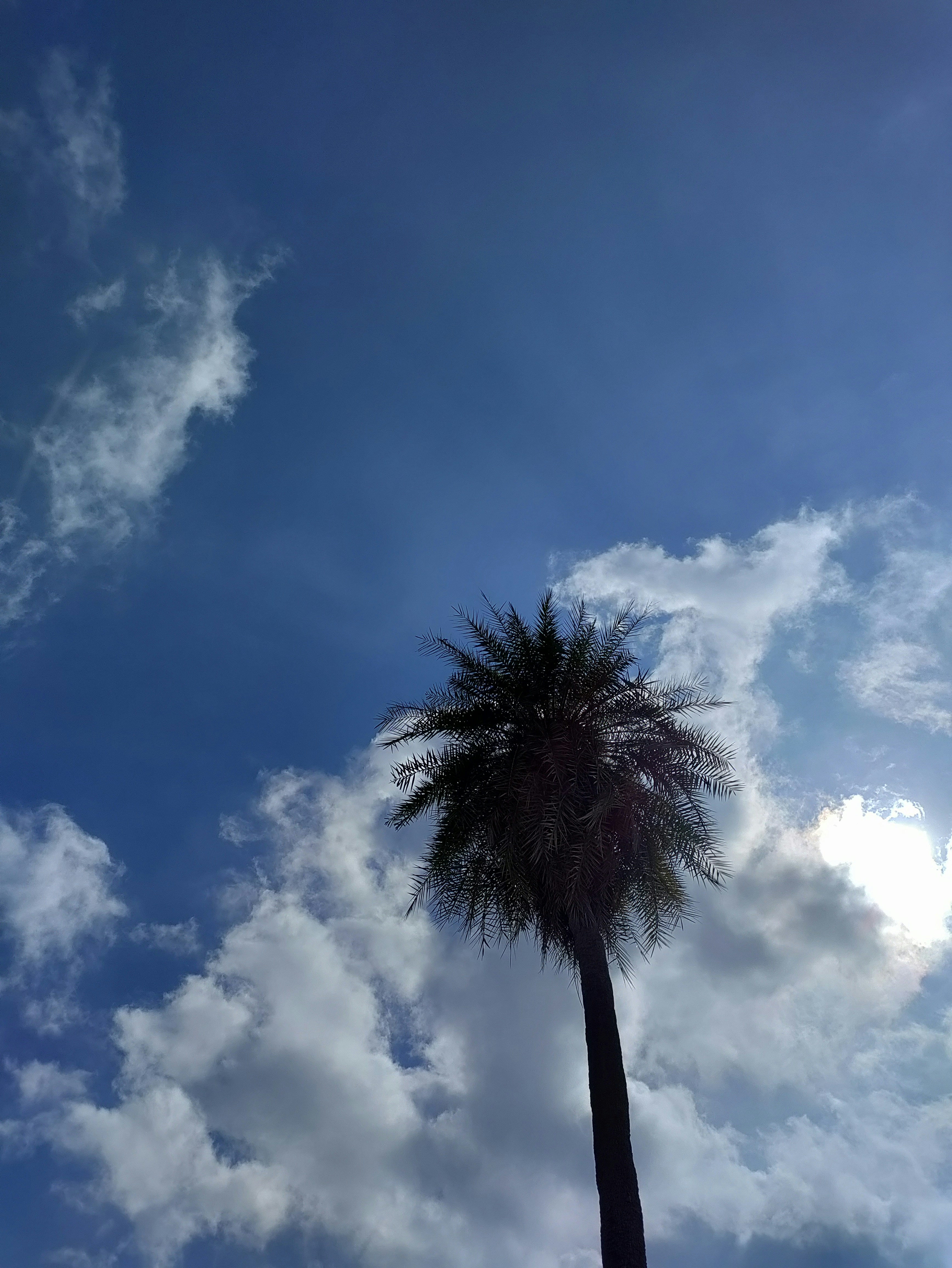 M Sudharshan (@ms_022) | Unsplash Photo Community