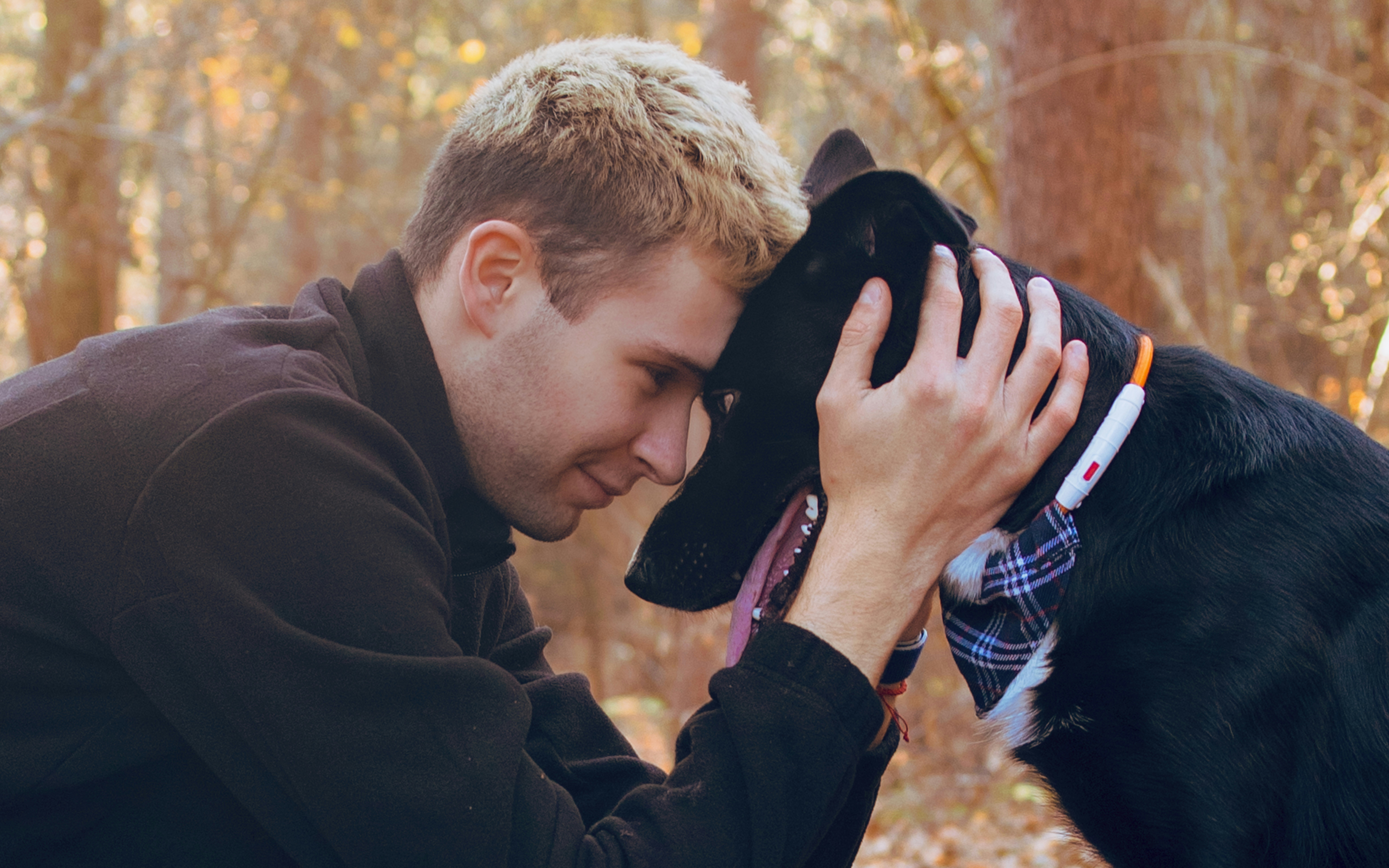 Man gently presses forehead to black dog in a forest setting, both sharing a tender moment.