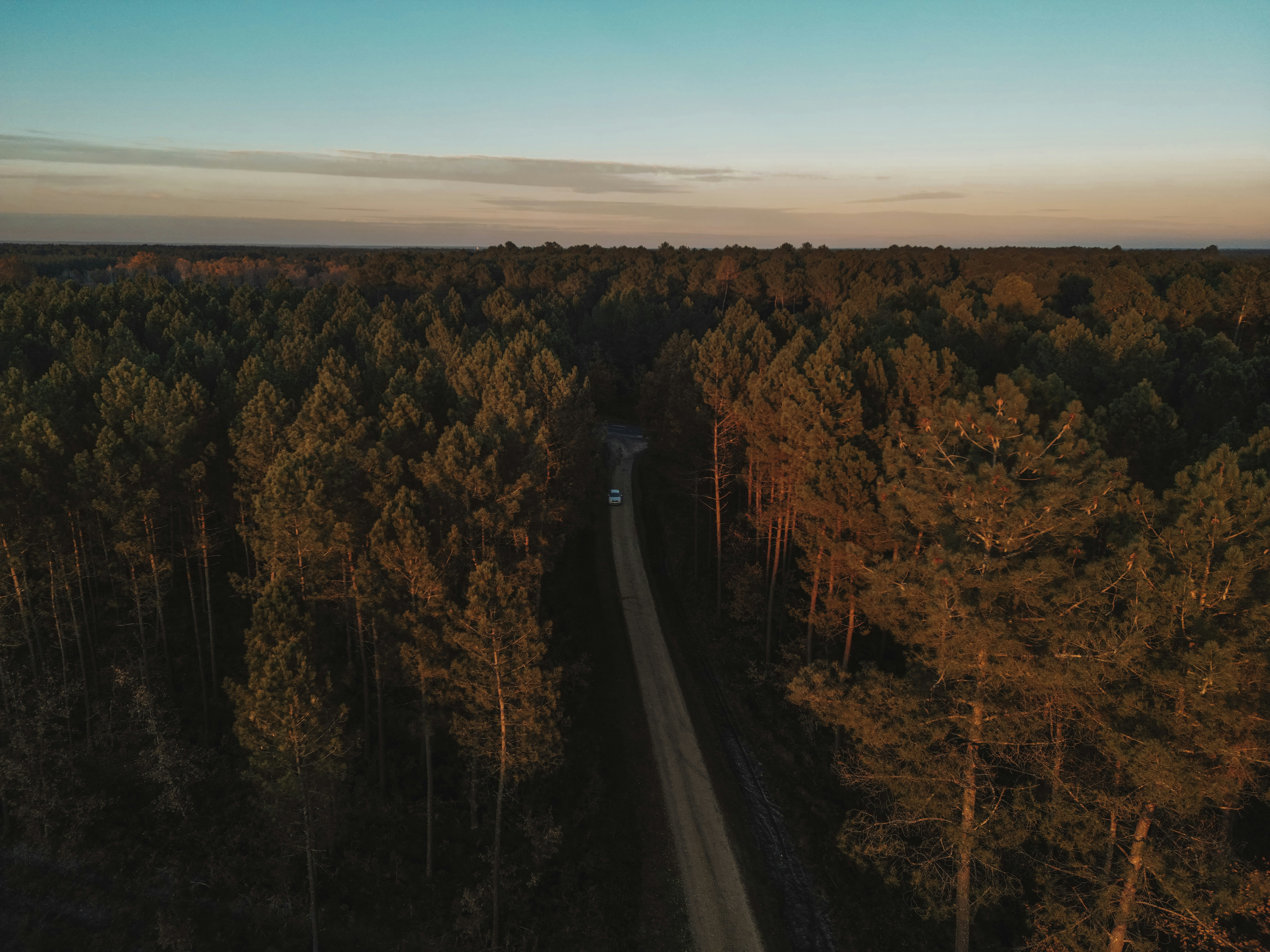 Une route au milieu d’une forêt photo – Photo Forêt Gratuite sur Unsplash