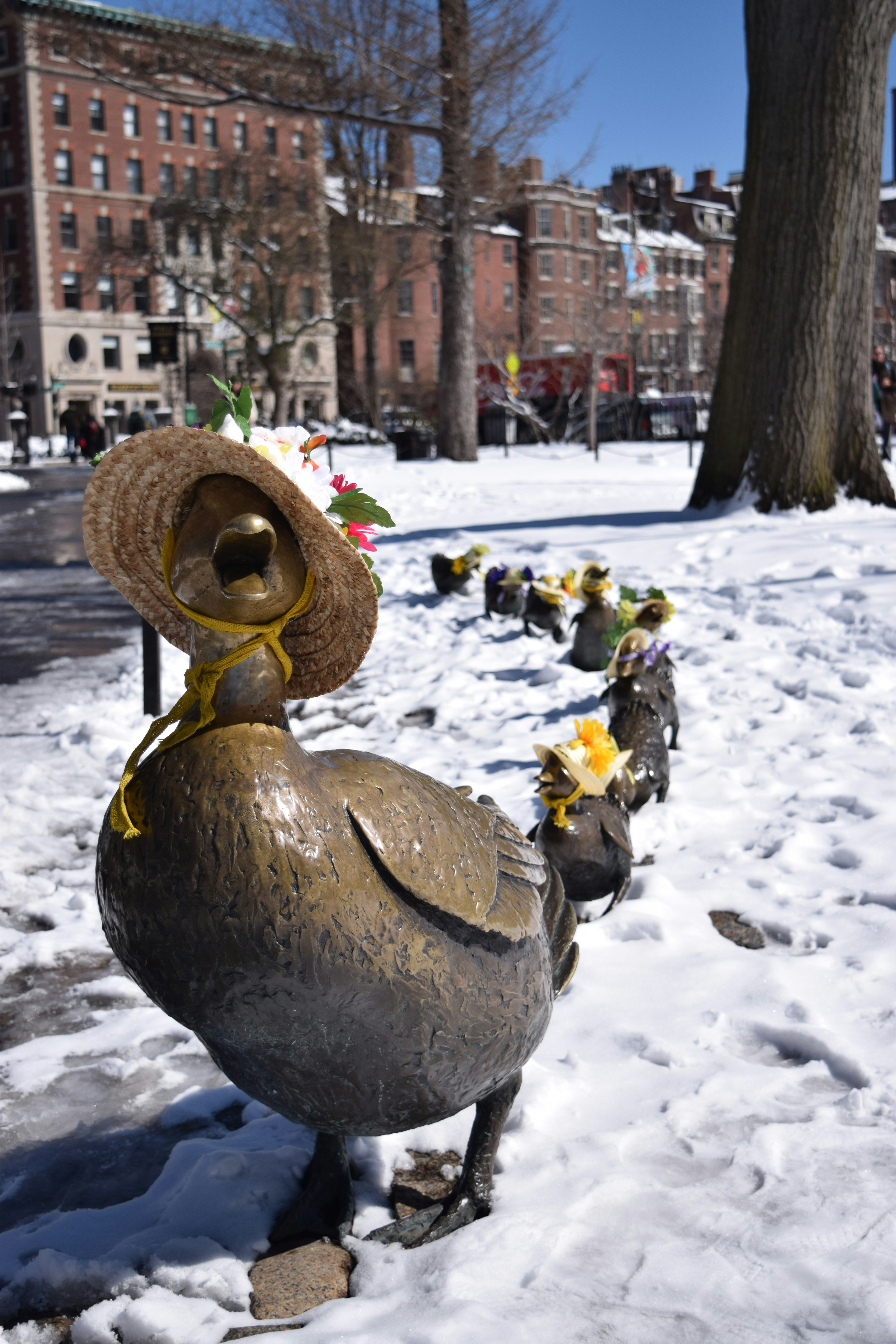 Snow-Scattered Parade of Diminutive Ducks in the City Park