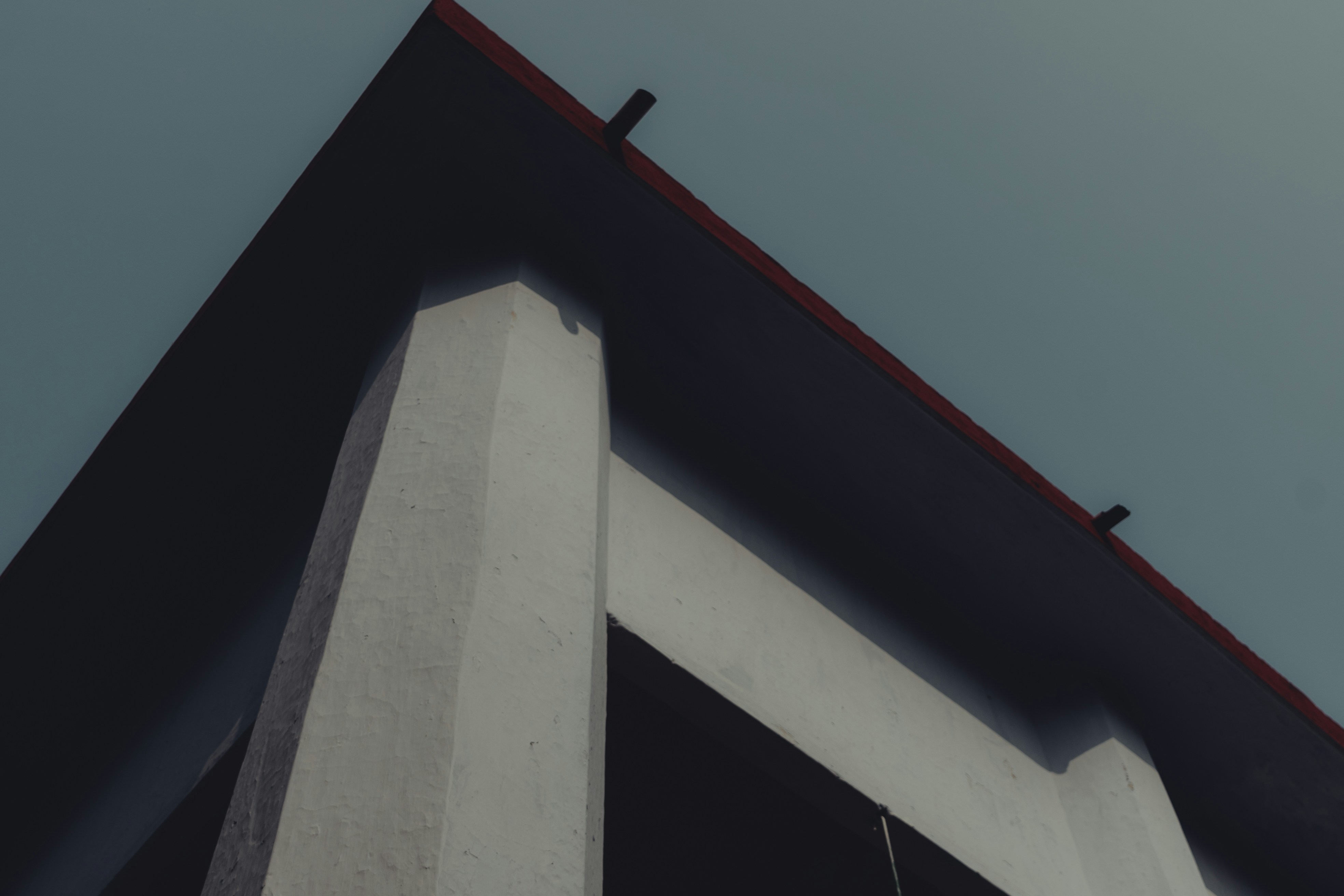 Foto Un pájaro está encaramado en el techo de un edificio – Imagen Edificio gratis en Unsplash