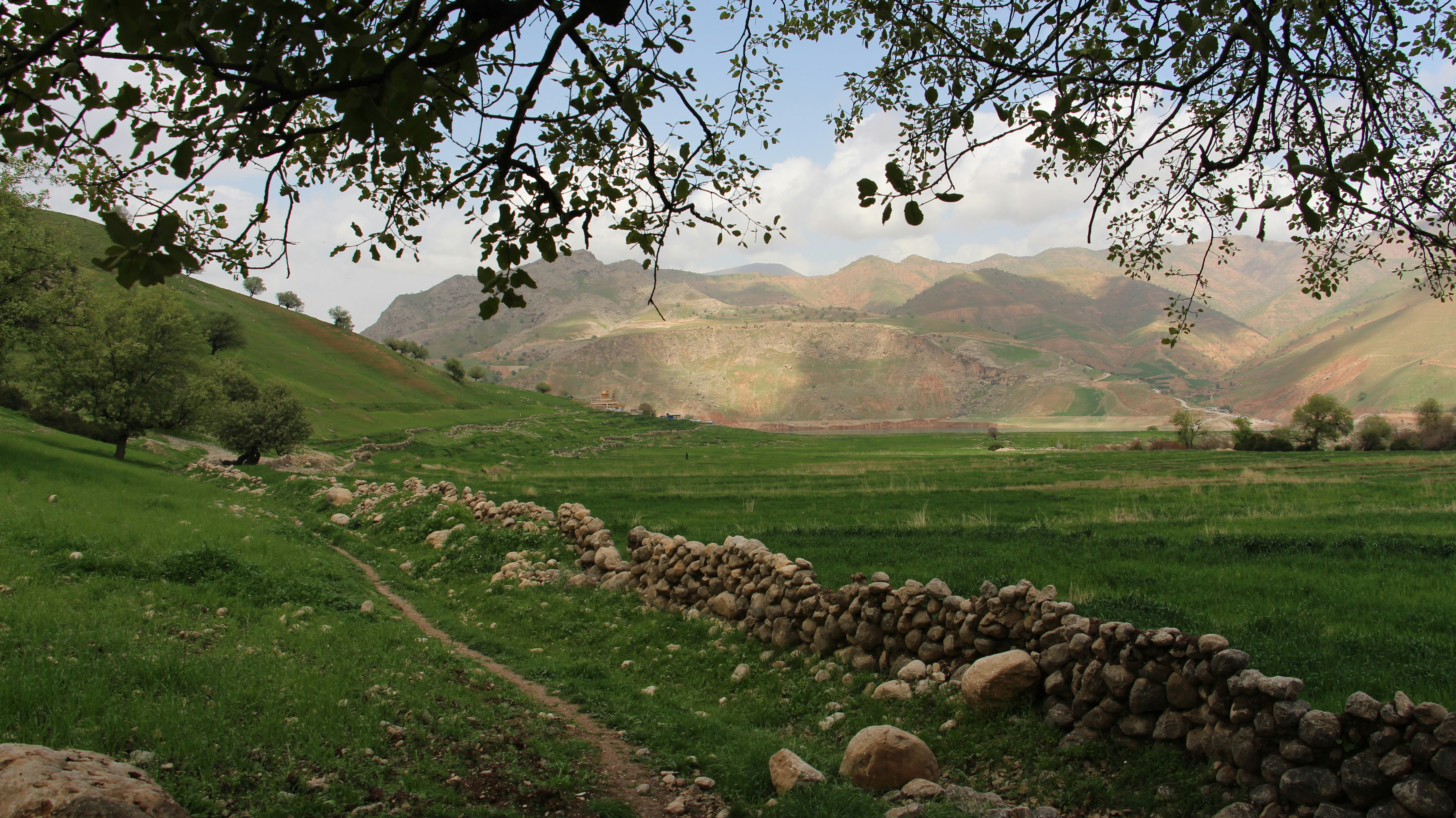Valley of Stone and Sky: a winding path through green fields toward distant peaks