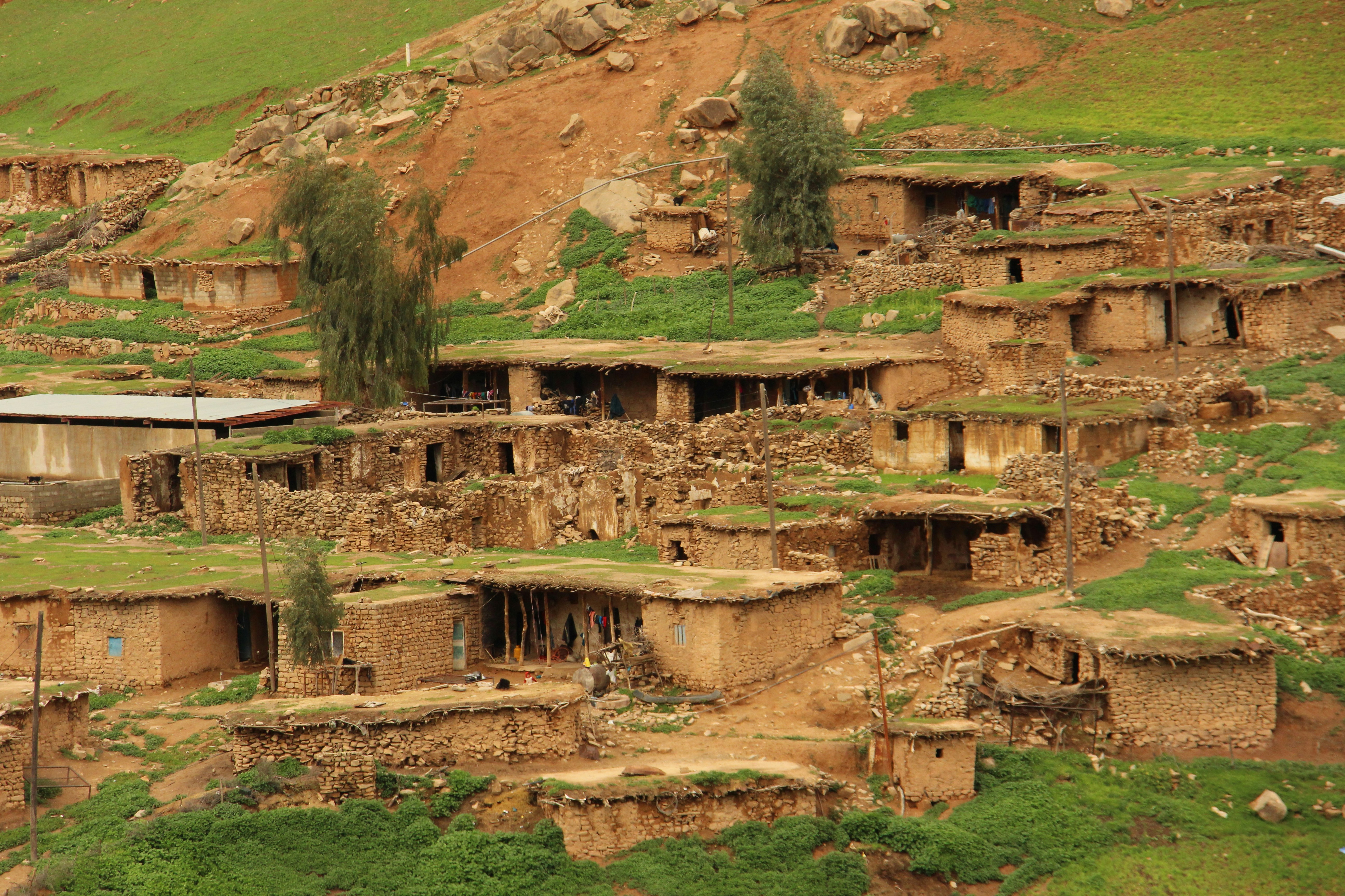 A group of houses built into the side of a hill photo – Free Dehdez ...