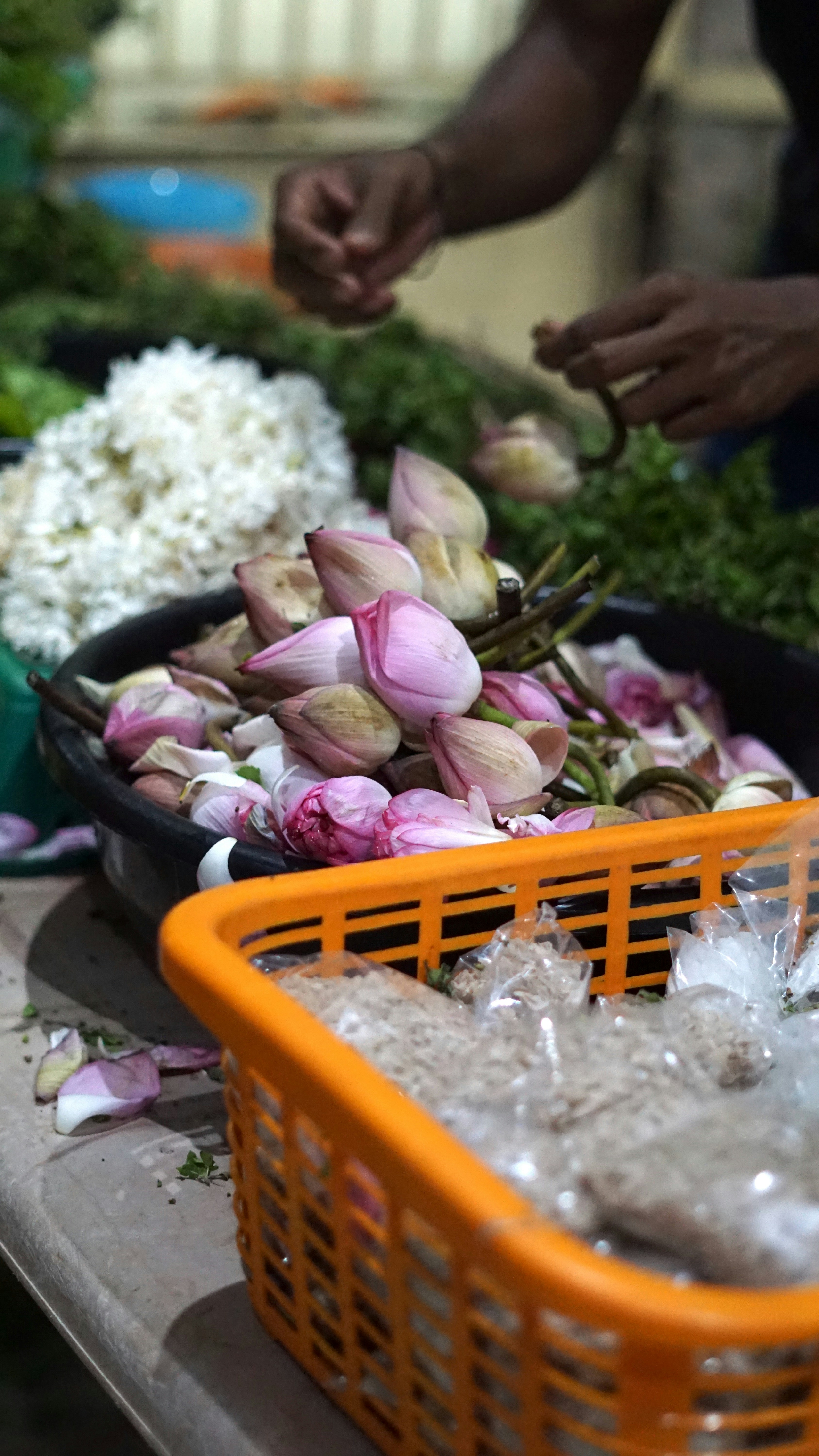 Petals in Focus: Pink Lotus Buds at a Busy Market