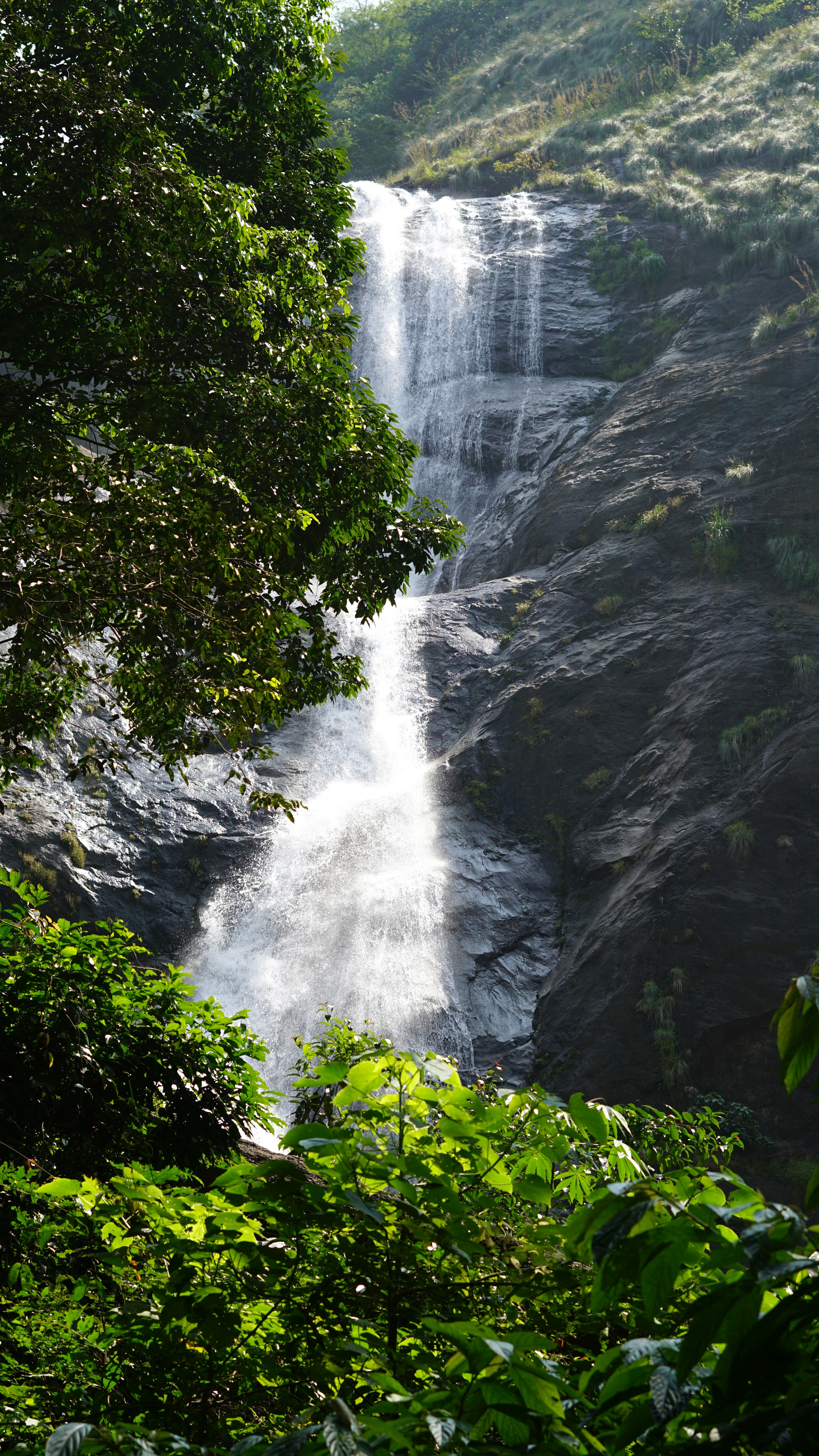 A large waterfall in the middle of a forest photo – Free Palaruvi Image ...