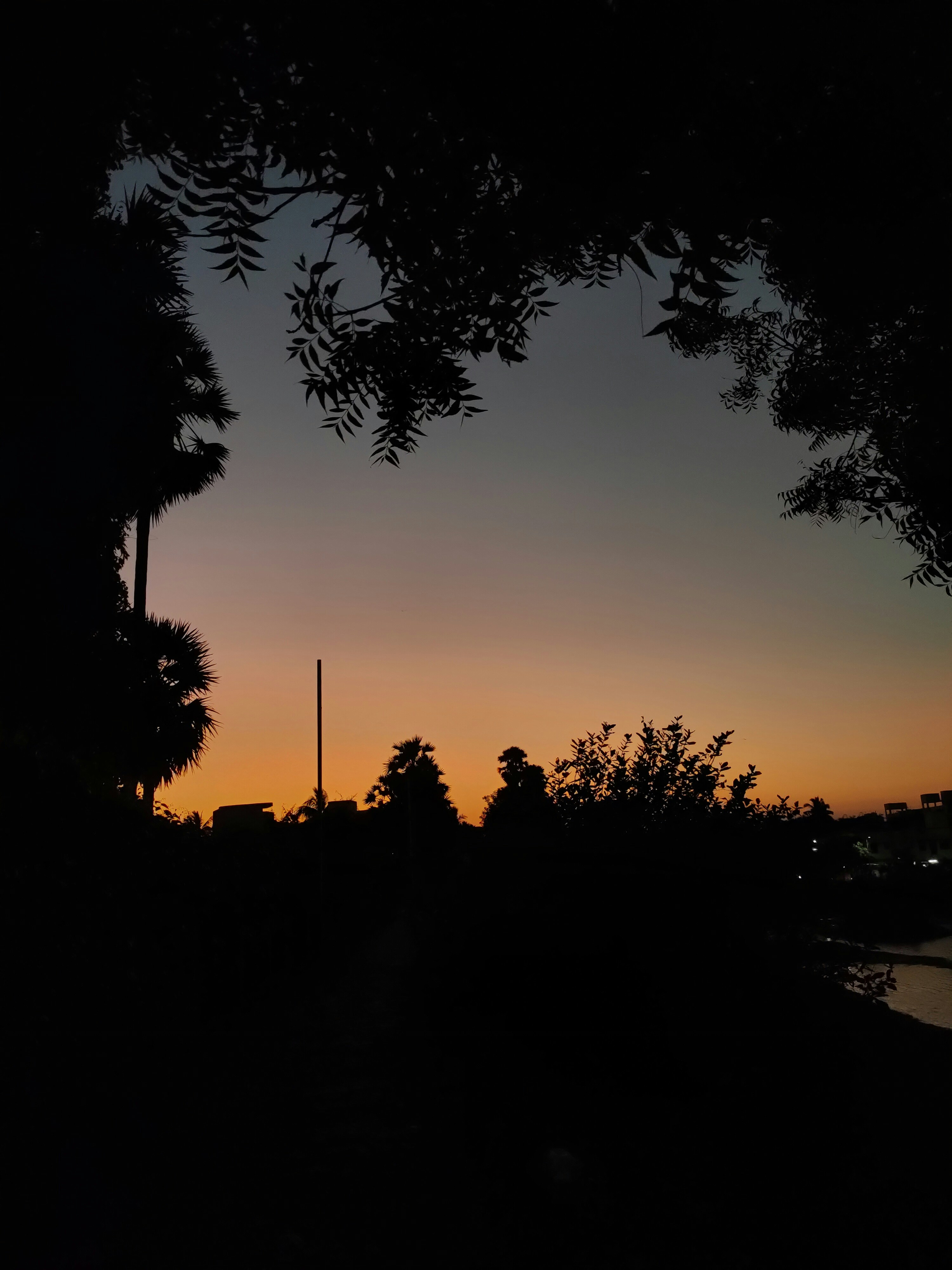 Sample photo from Oppo Reno2