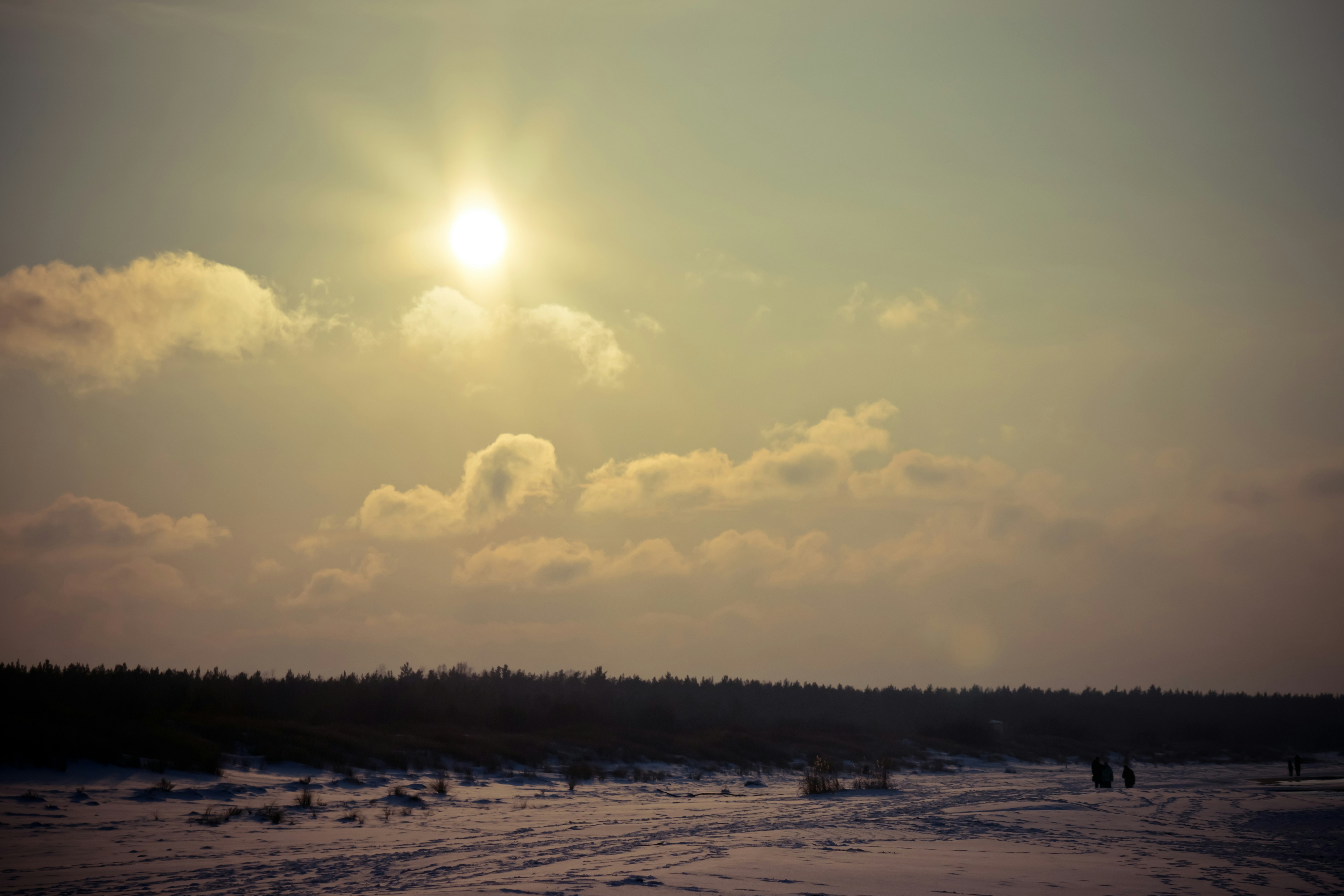 Cold winter landscape frozen snow Latvia nature