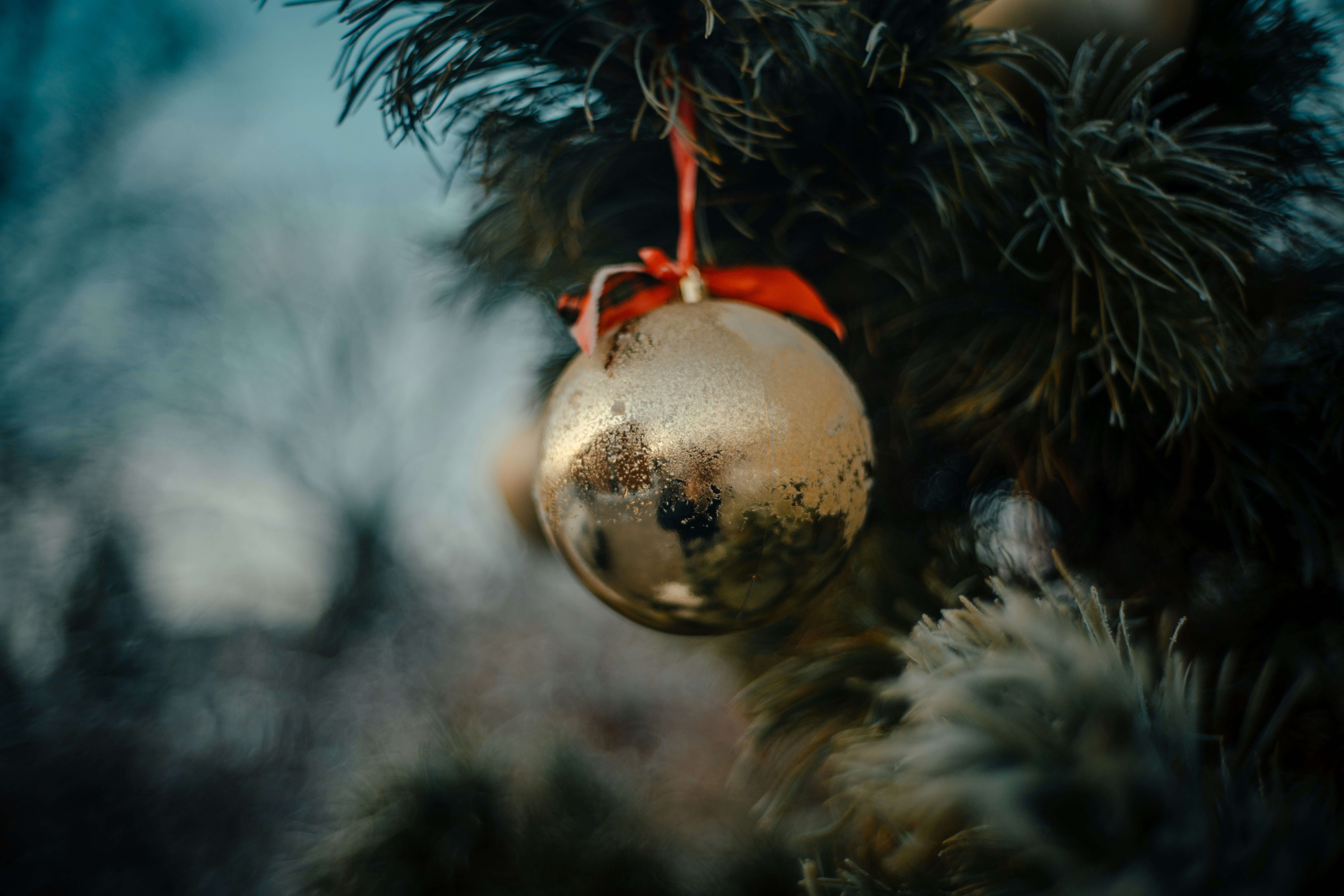 Gold Ornament in Quiet Pine Bokeh