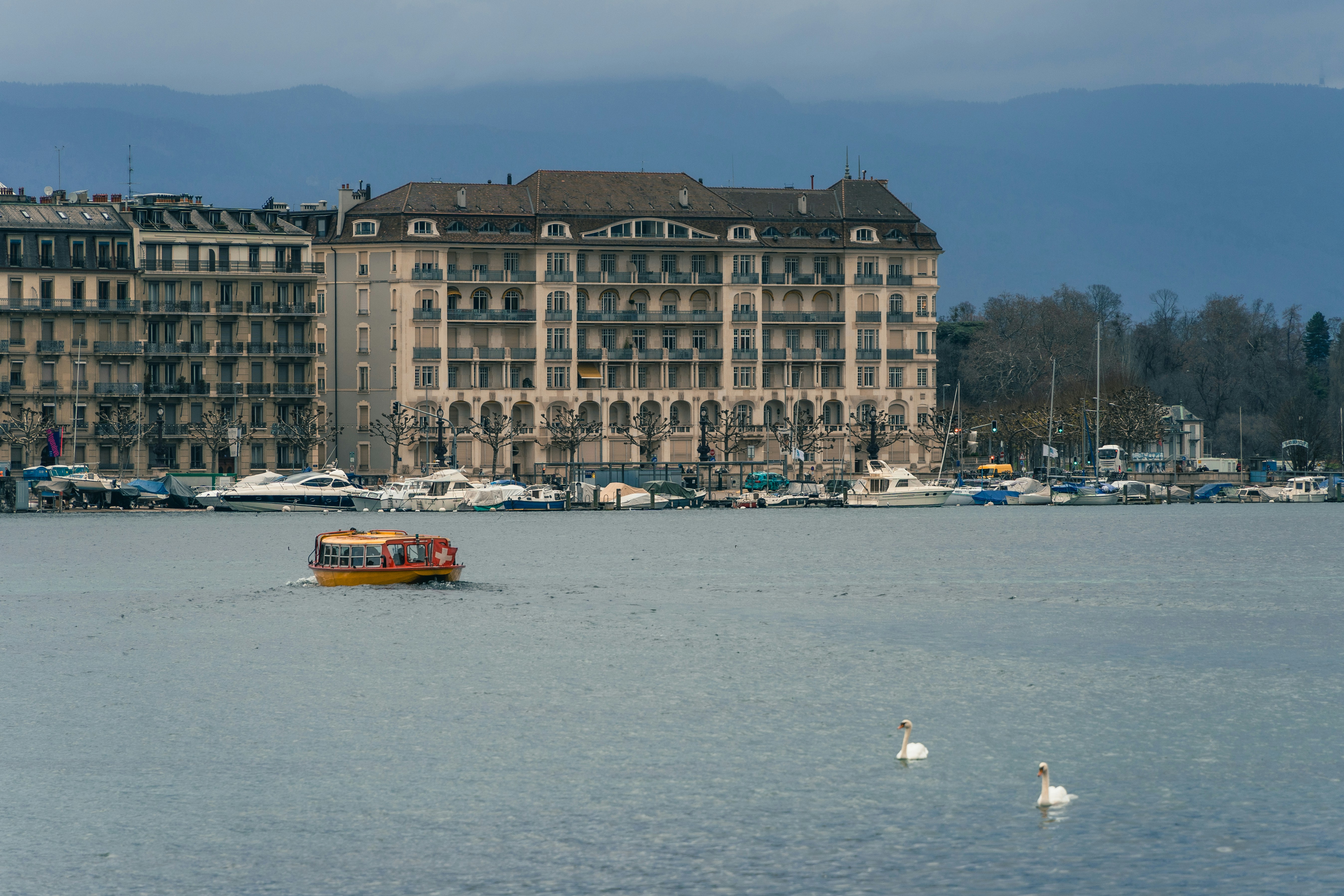 Photo by Evan Yang with Sony Alpha 7 III