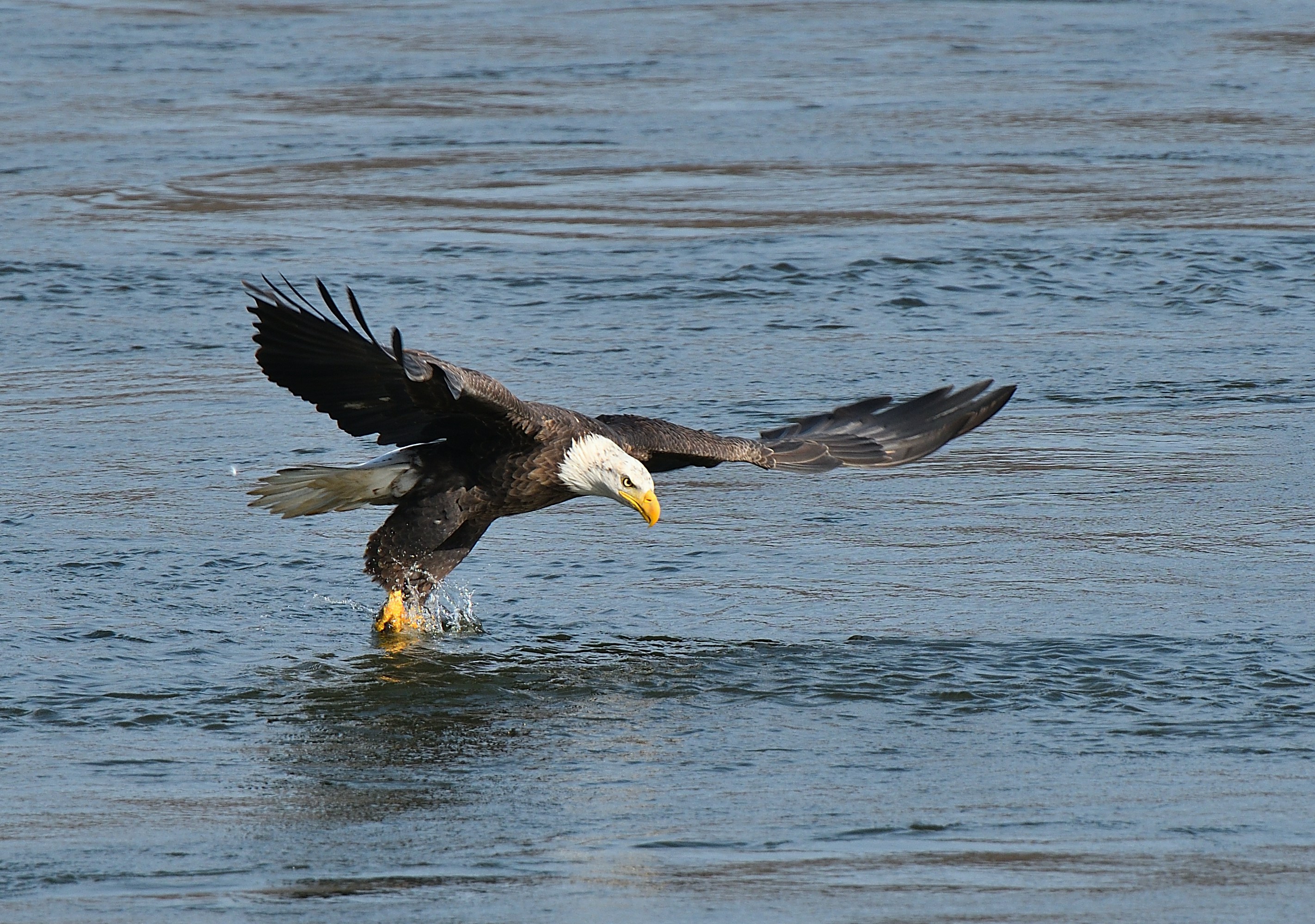 Alex Makarov (@alex_makarov) | Komunitas Foto Unsplash