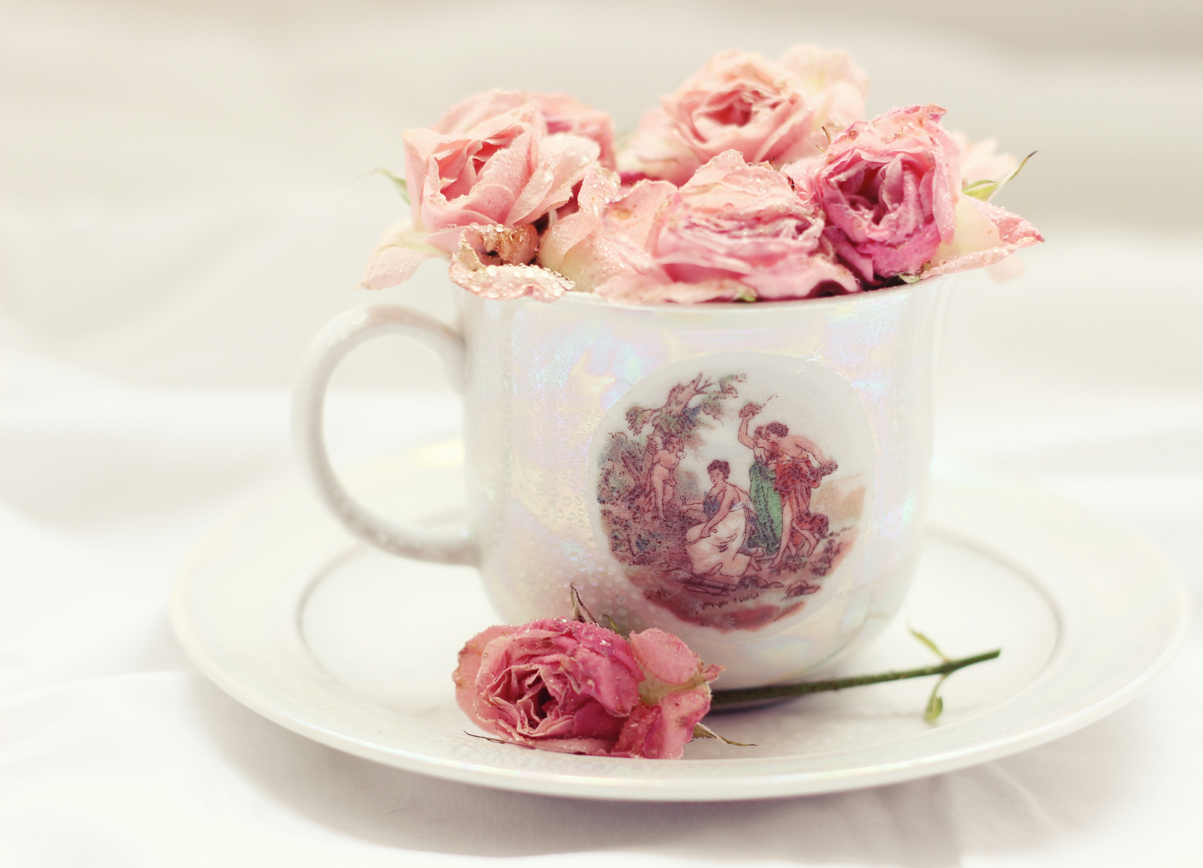 Photo by Oleksandra Kondratenko with Canon EOS 550D