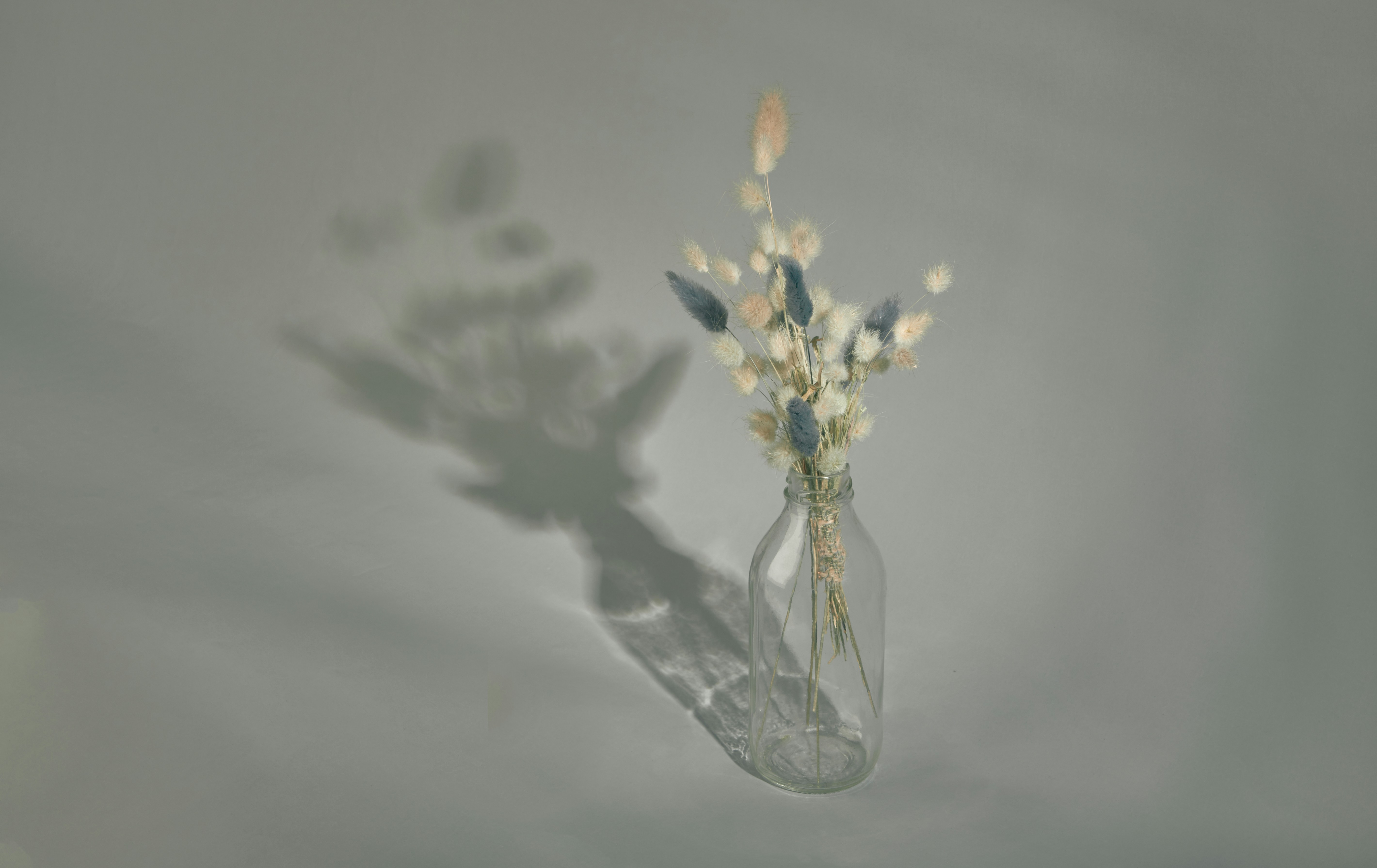 Suspended Glass Vessel Cradling Dried Blooms in Quiet Studio Light