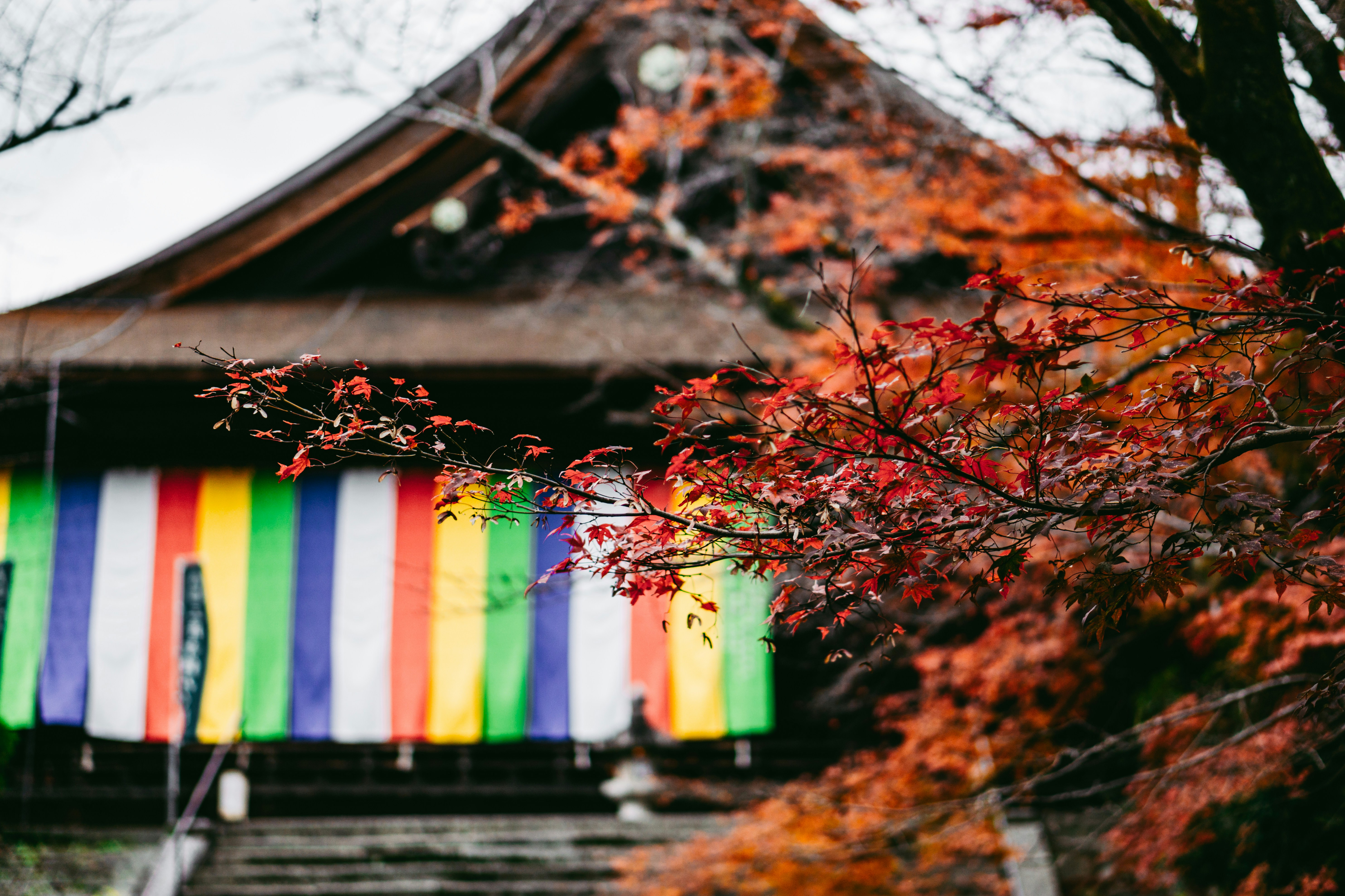 a building with a rainbow flag hanging from it's side