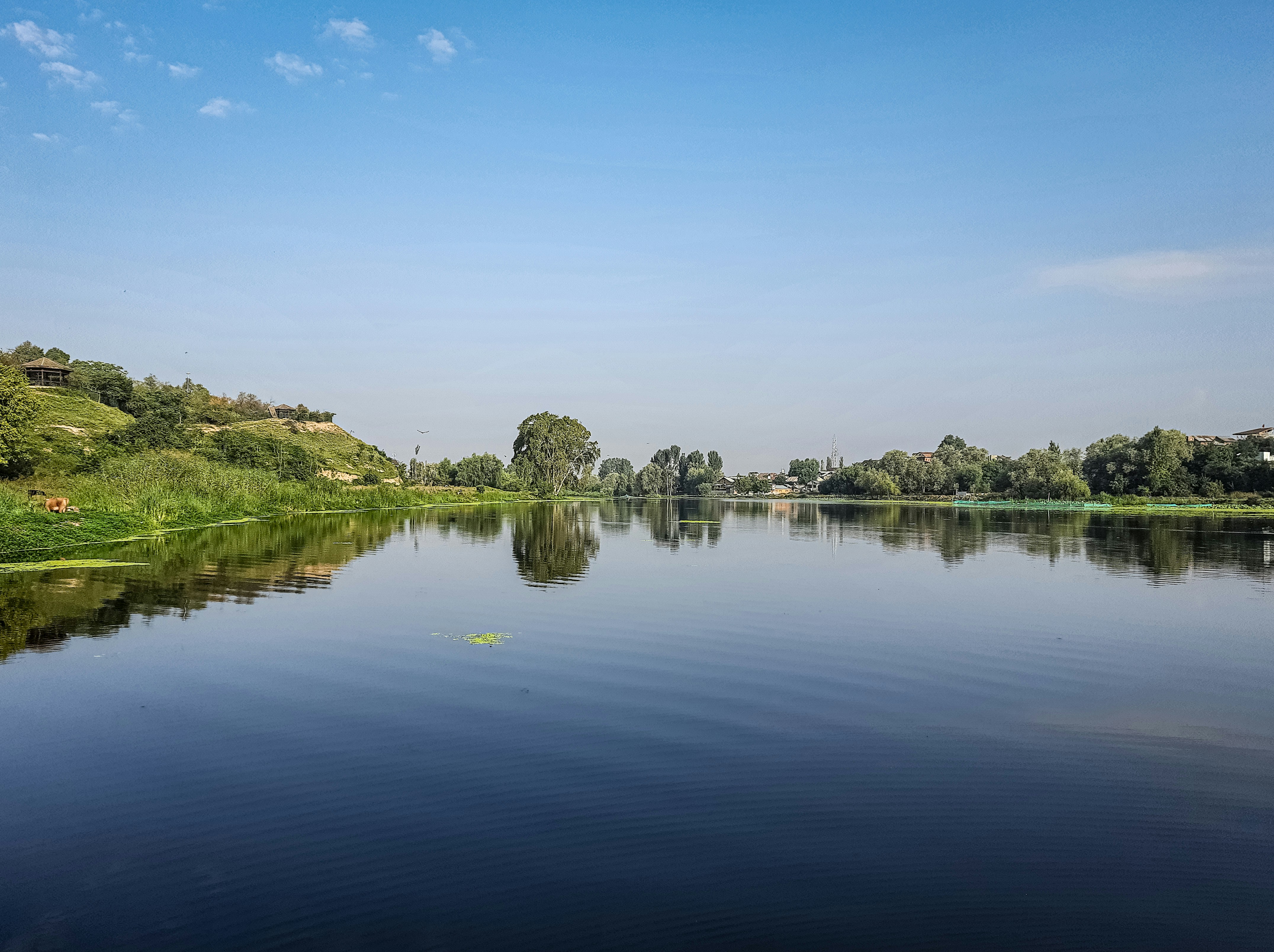 Calm lake reflecting lush greenery and a clear blue sky, inviting tranquility and peace.