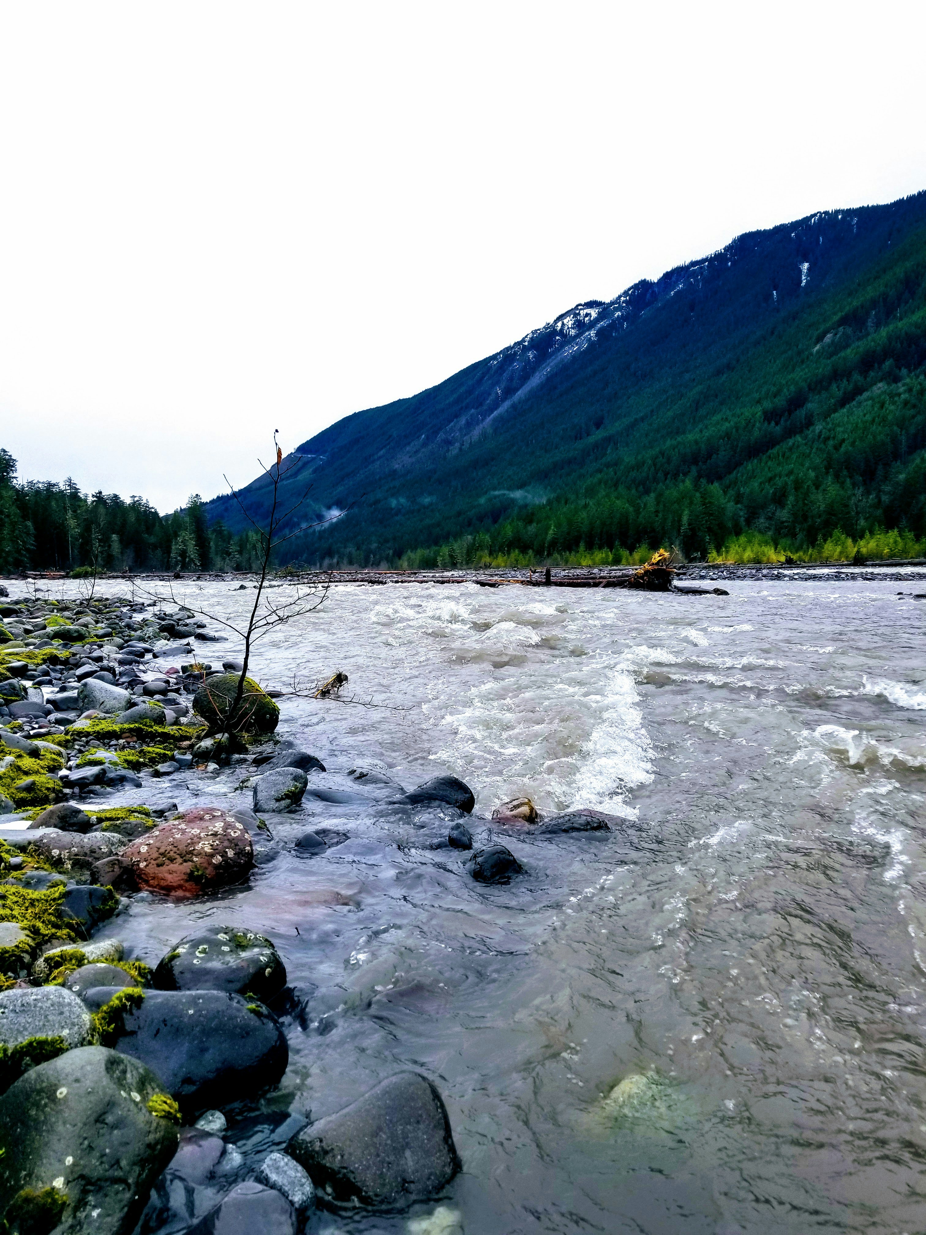 Riverbank Vista: Mossy Stones and Mountain Crest