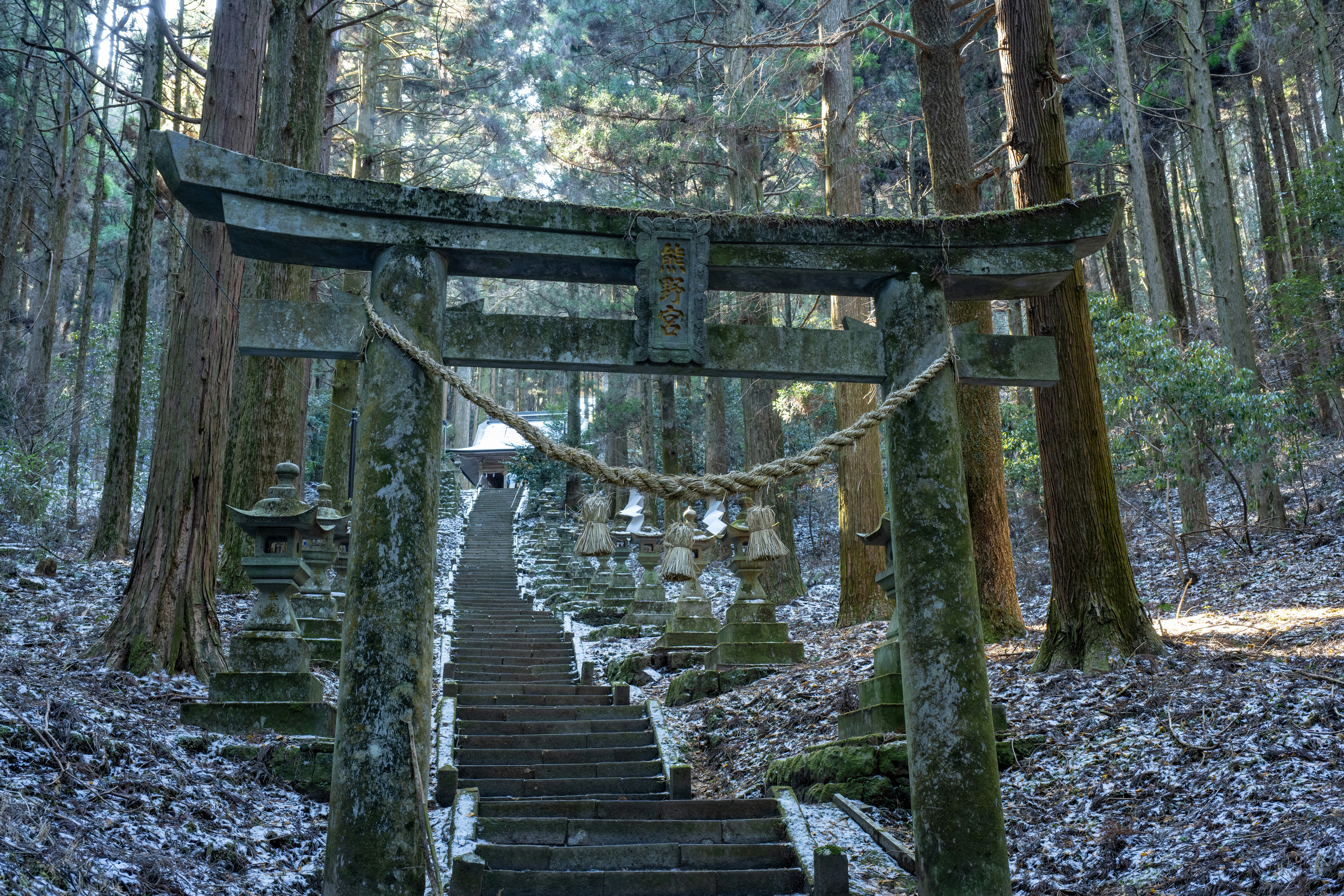 A set of steps leading to a shrine in the woods photo – Free Woodland ...
