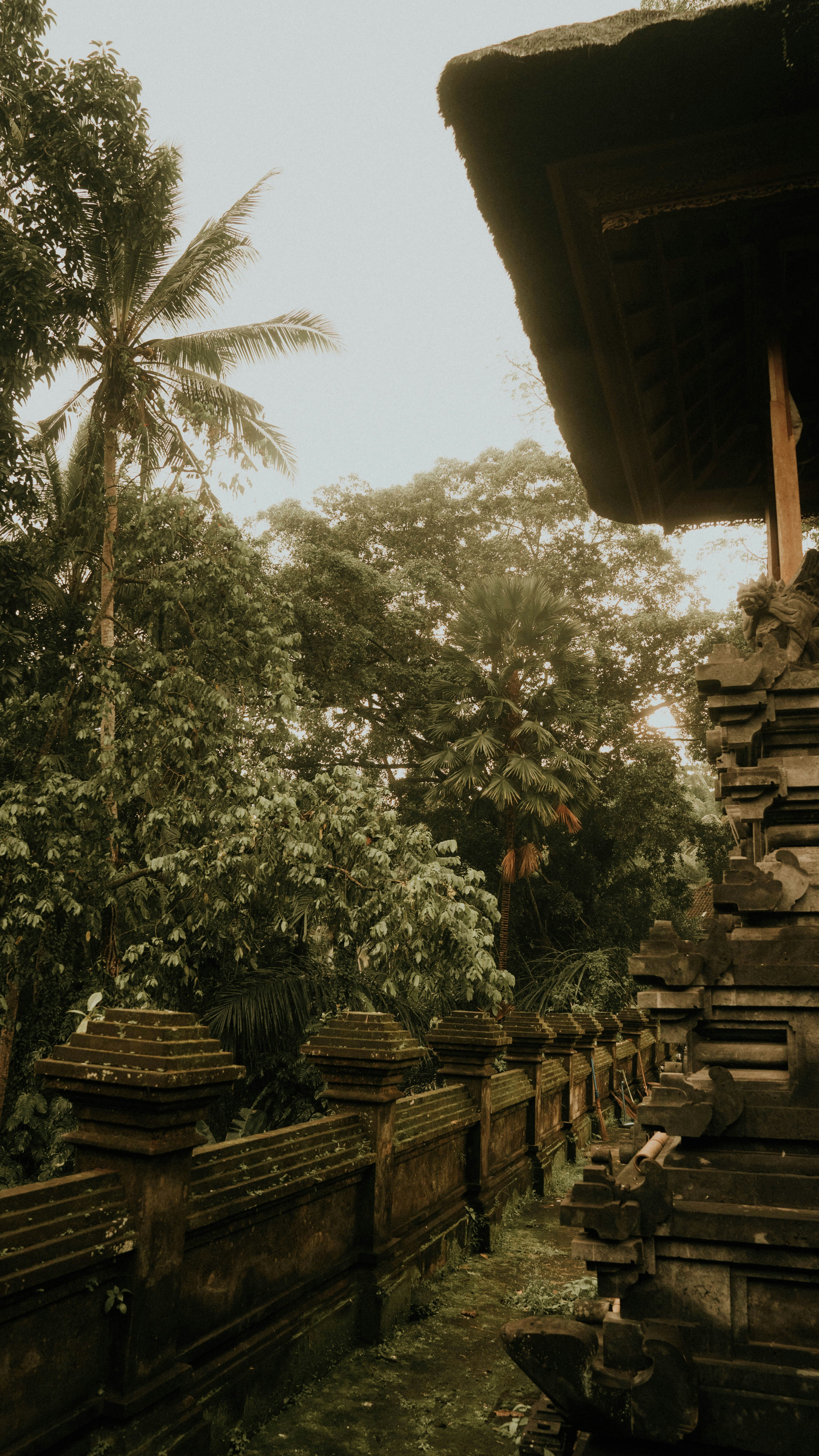 a group of stacks of wood sitting on top of a lush green forest