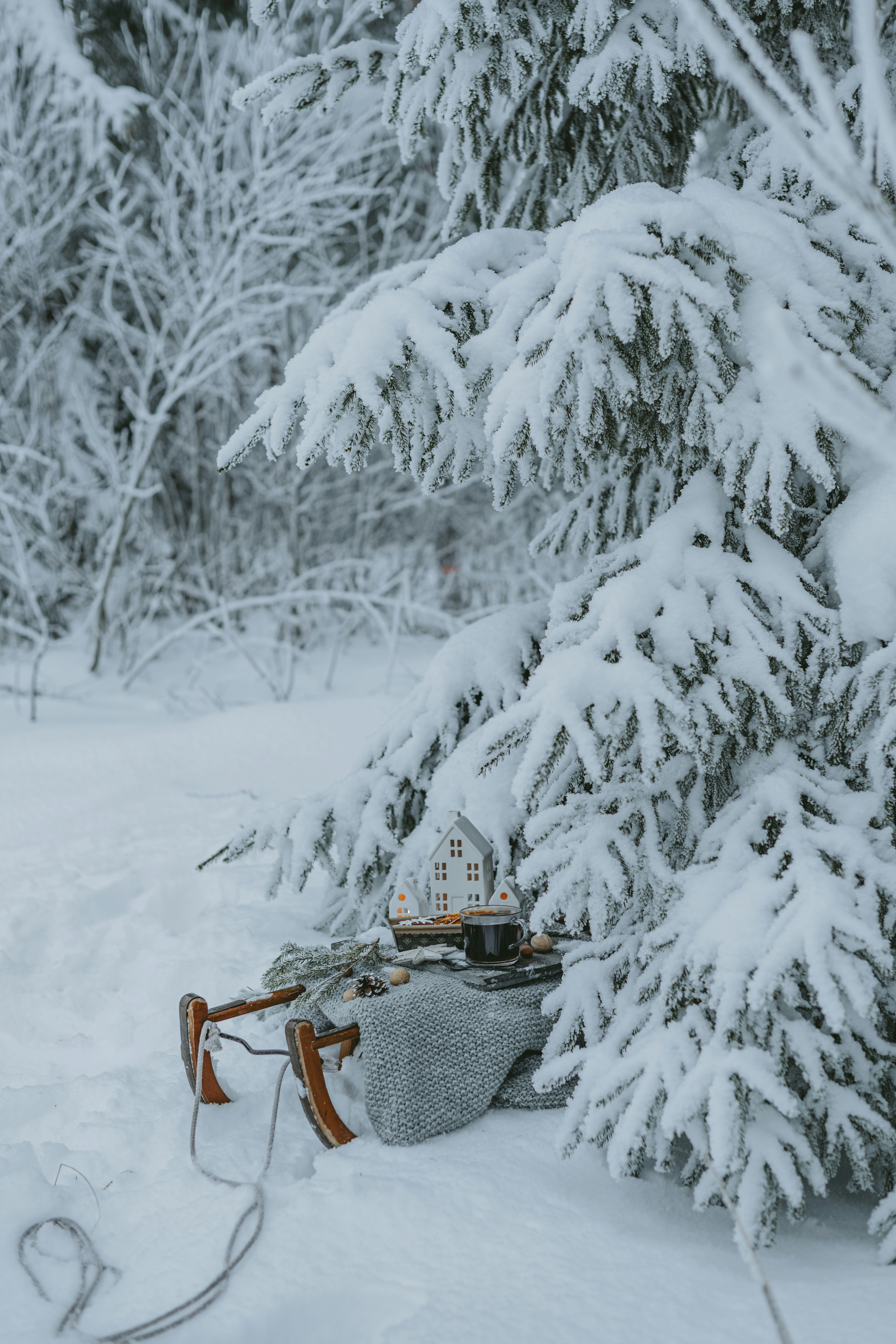 Winter Still Life: A Cozy Scene Hidden Beneath Snow-Laden Branches