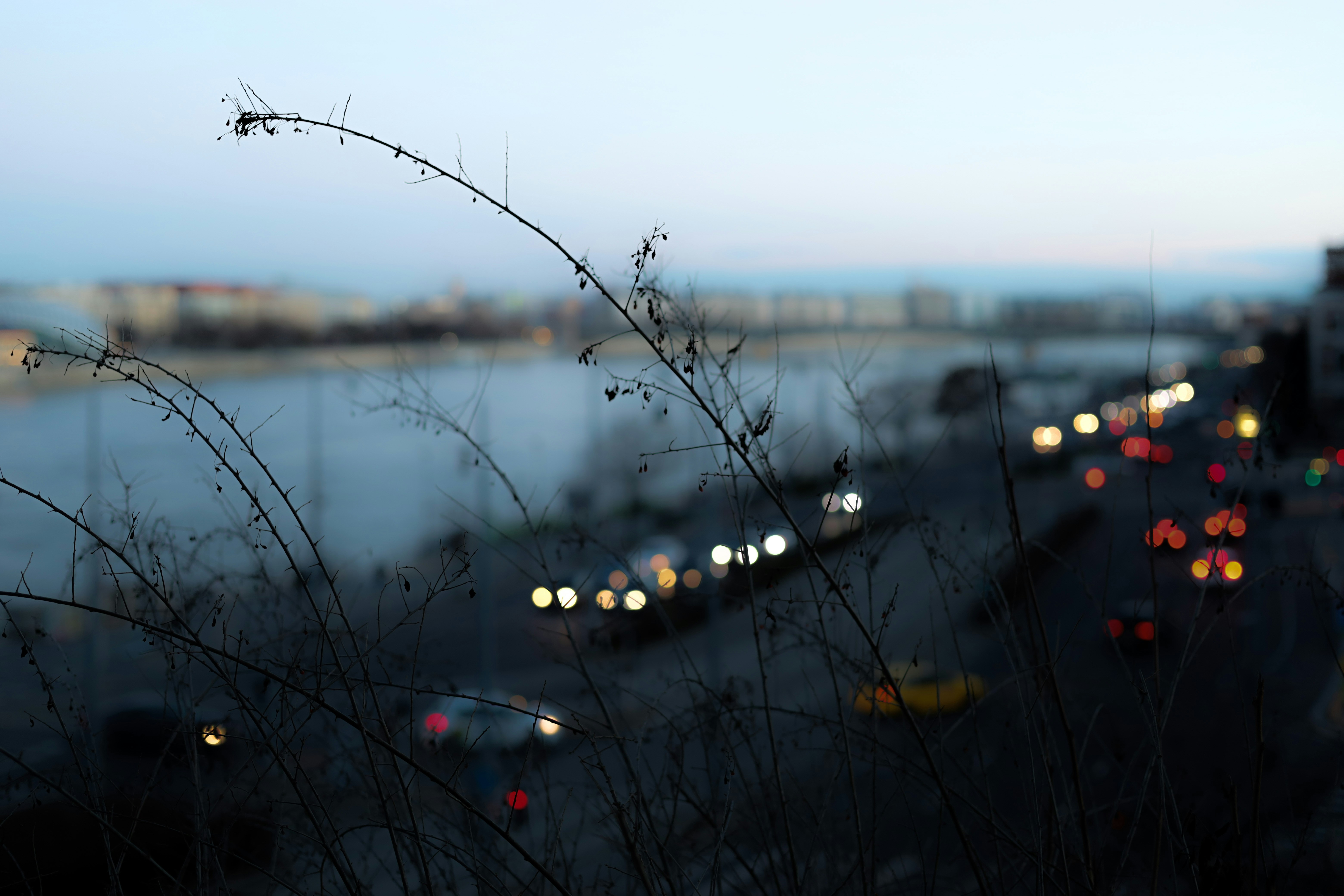 Photo by Richard Stachmann with Canon EOS RP