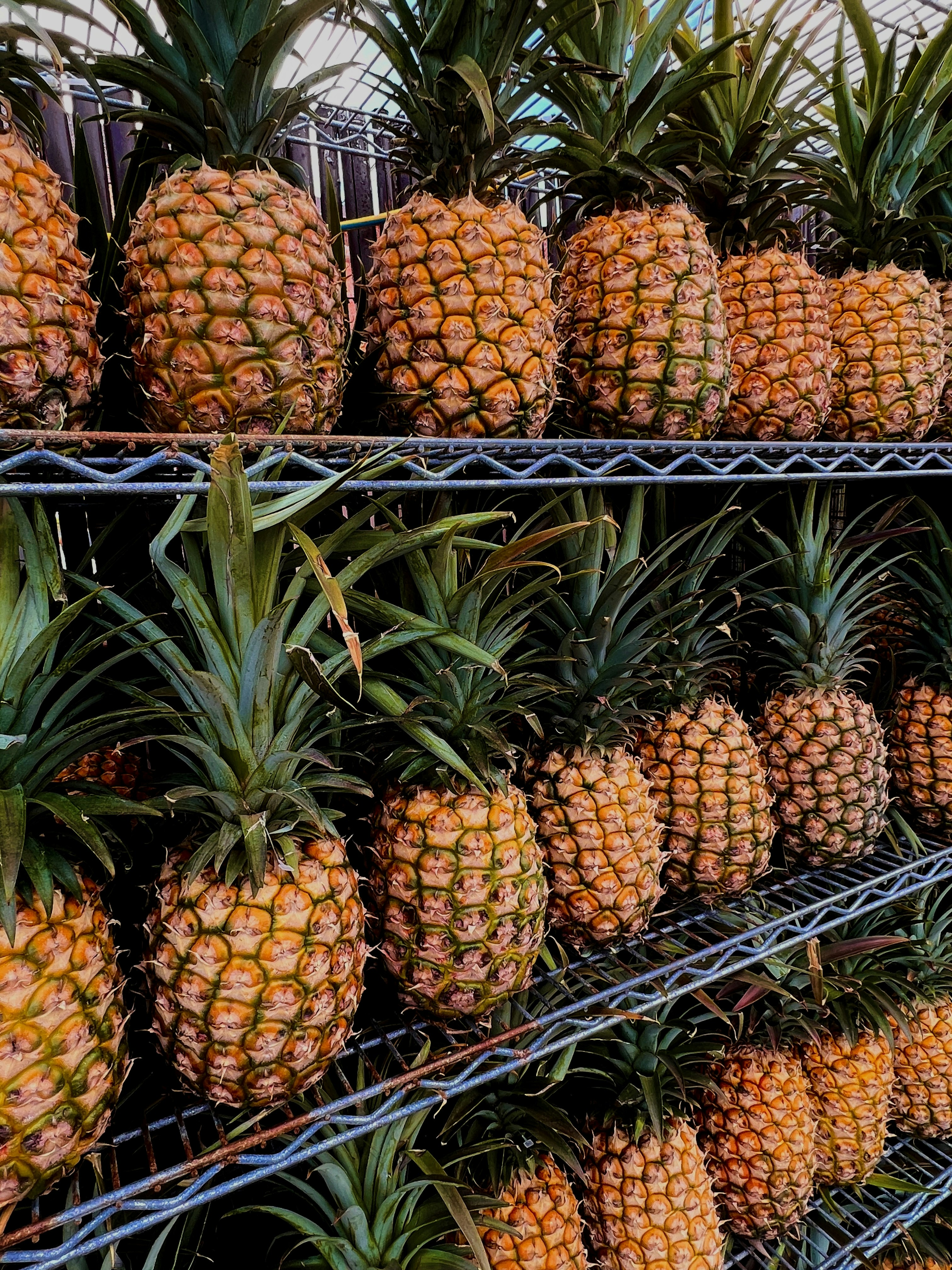 Foto zum Thema Ein Strauß Ananas in Regalen in einem Geschäft ...