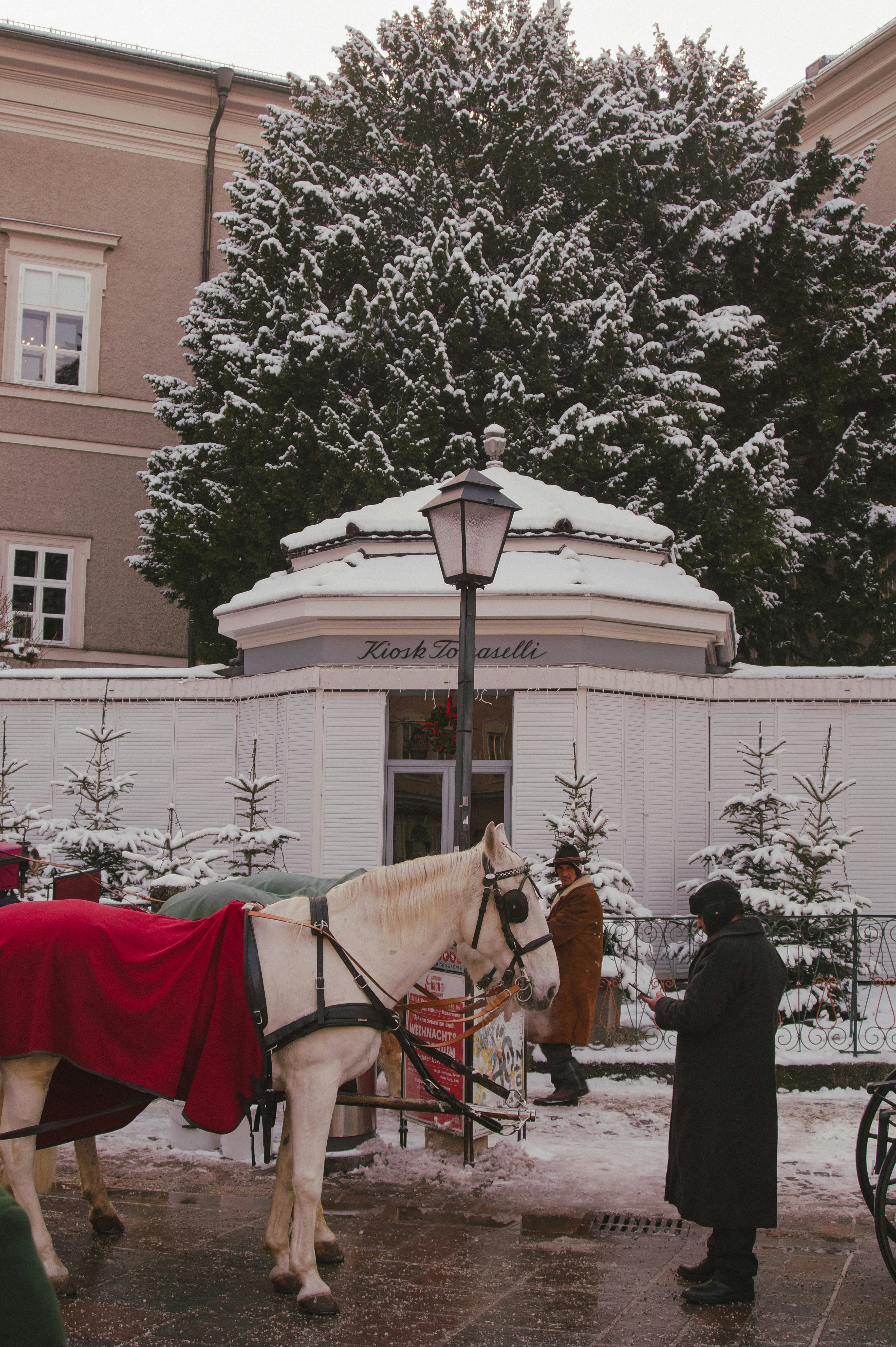 Red-Wrapped White Horse in a Snow-Quiet Town Square