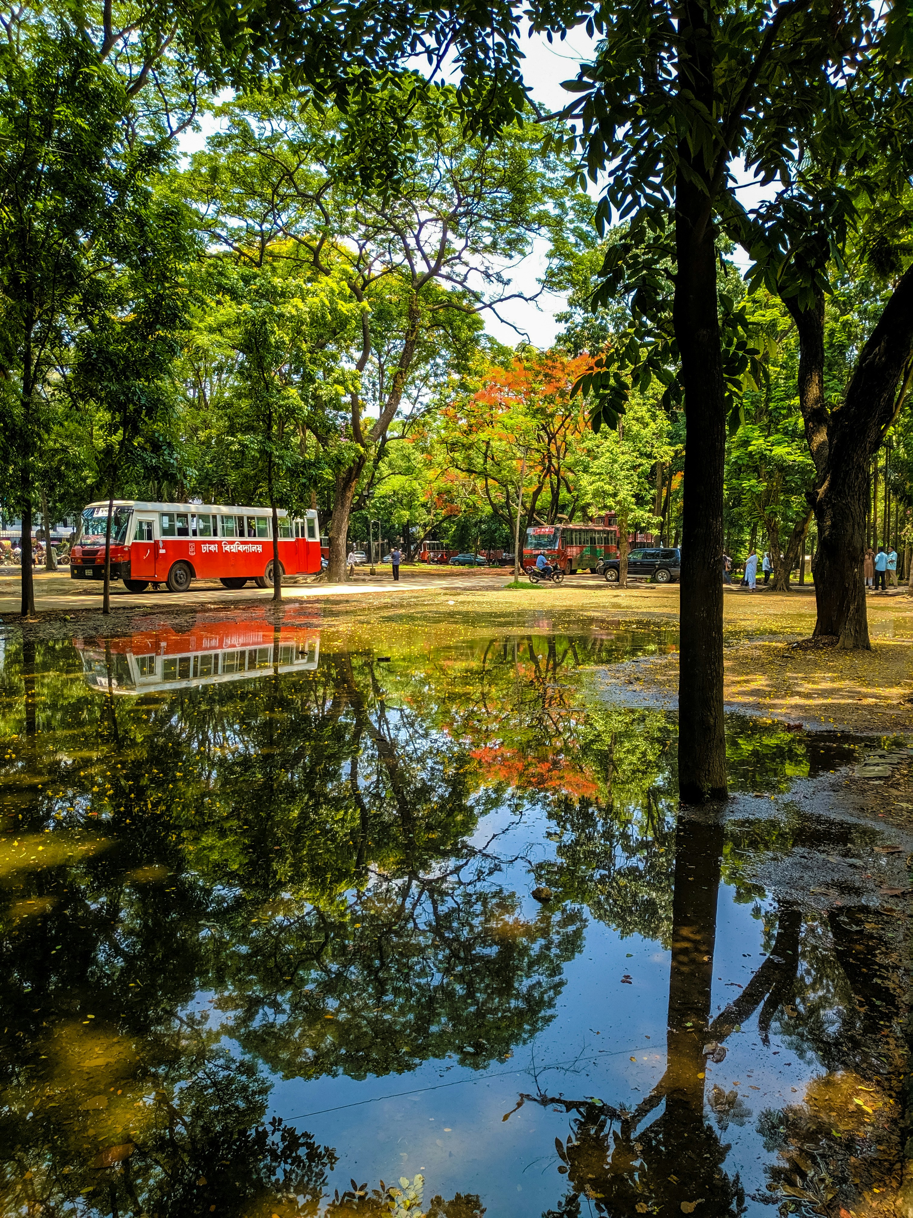 Reflections and Red Buses in a Lush Park
