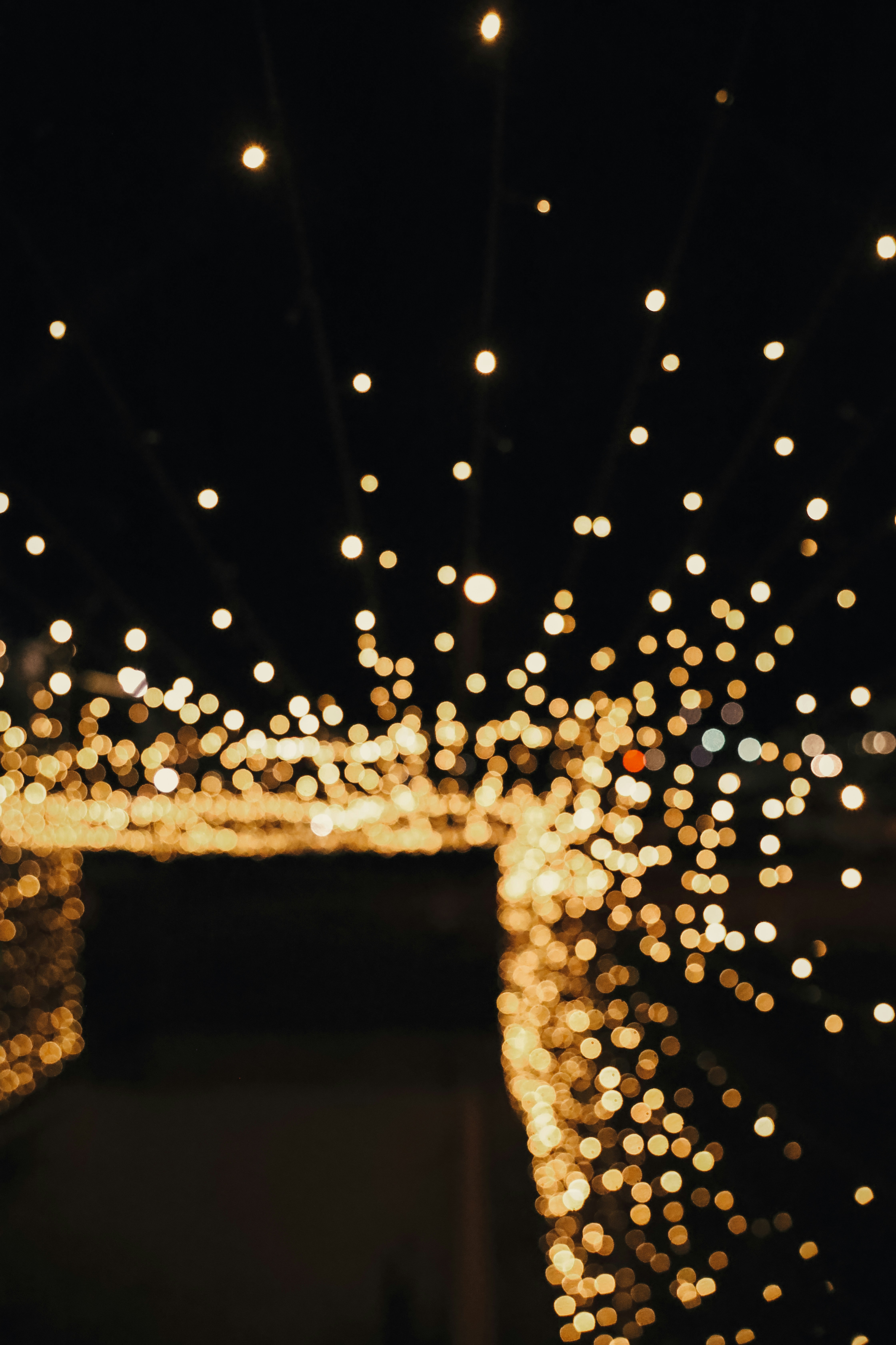 Strings of warm white lights create a dazzling pattern against a dark background.