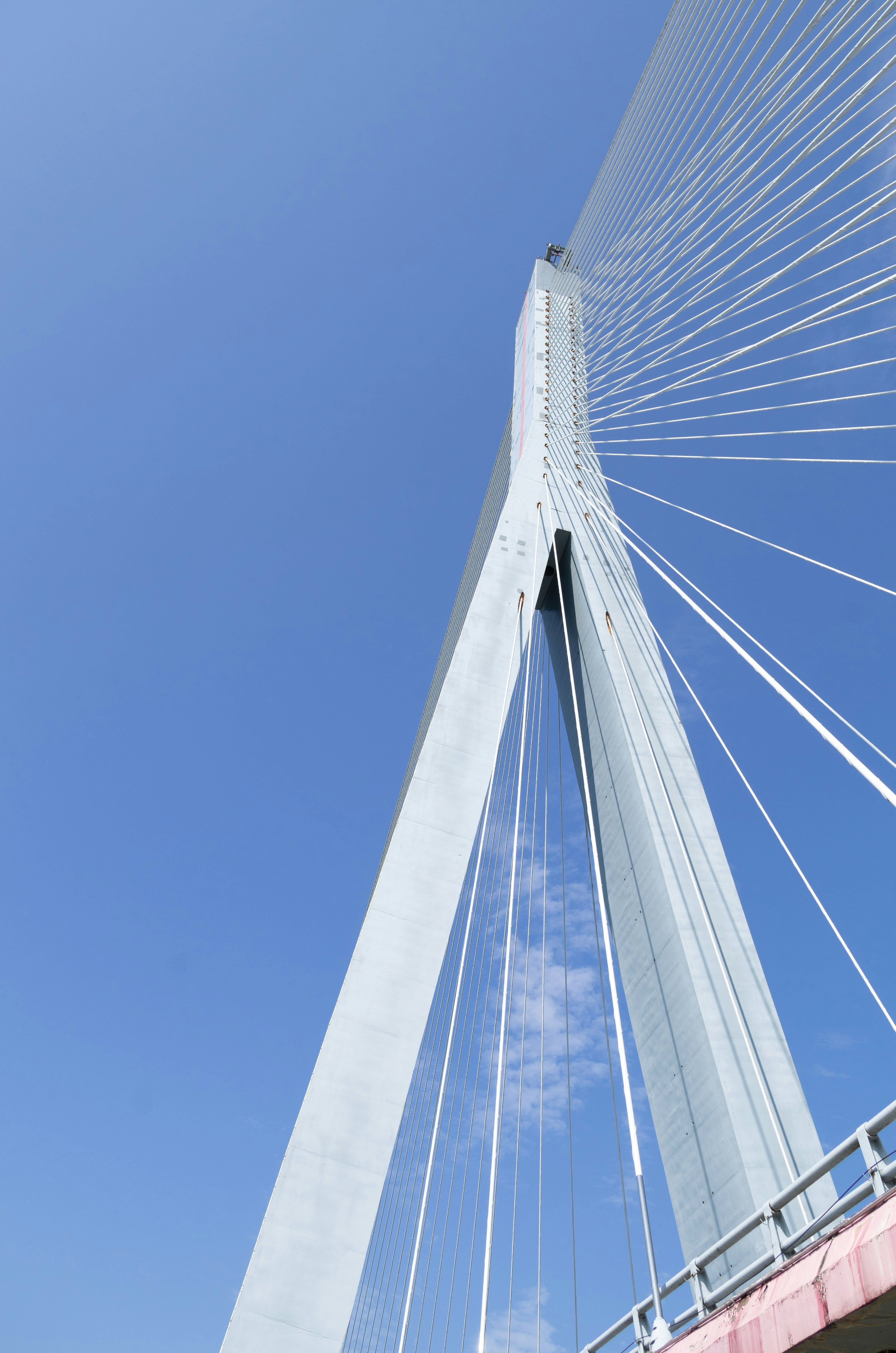 A view of a very tall bridge from the ground photo – Free Tower Image ...