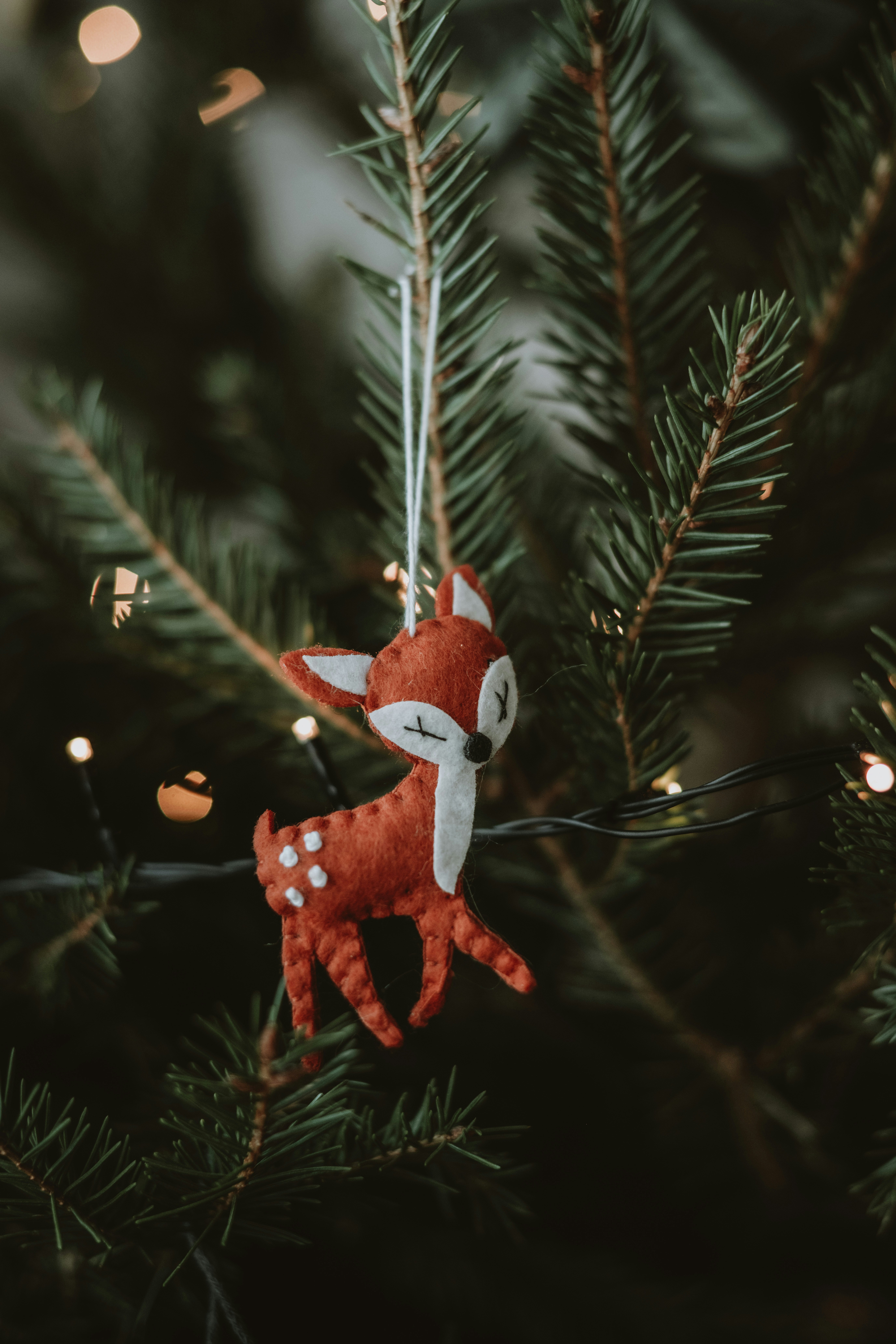 a christmas ornament hanging from a tree