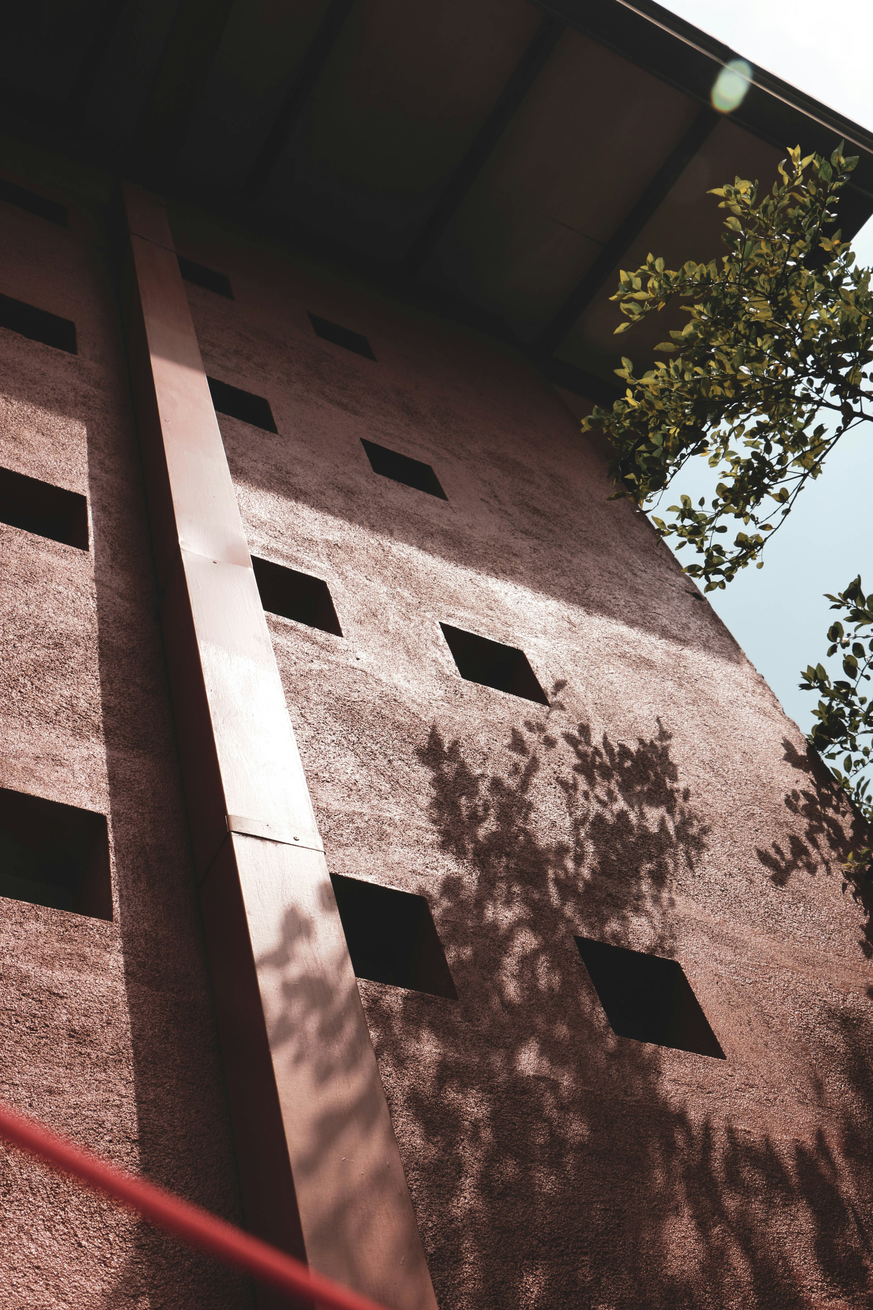 a tree casts a shadow on the side of a building