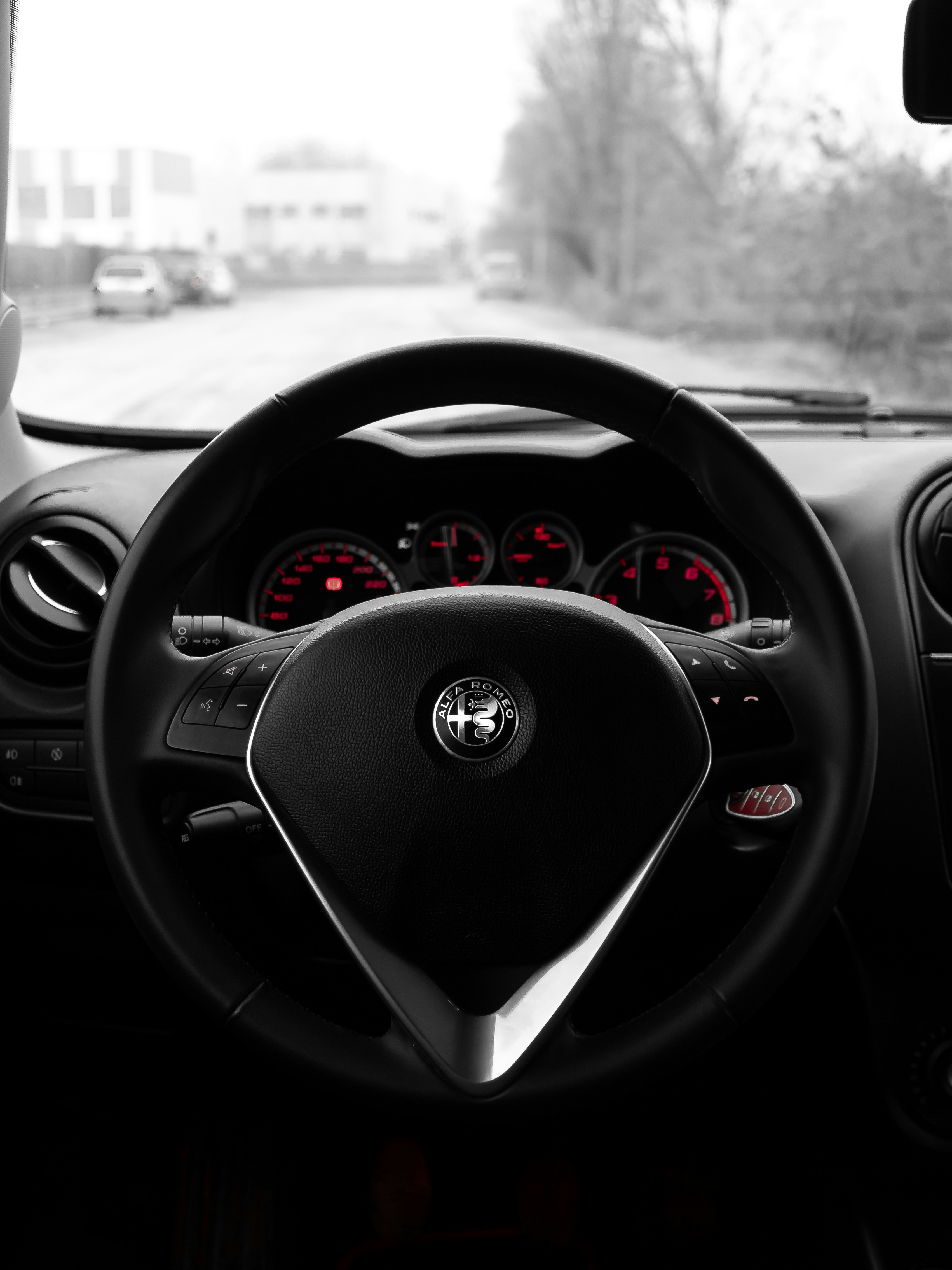Monochrome Cockpit: Alfa Romeo Steering Wheel Framed by the Red Gauge Glow