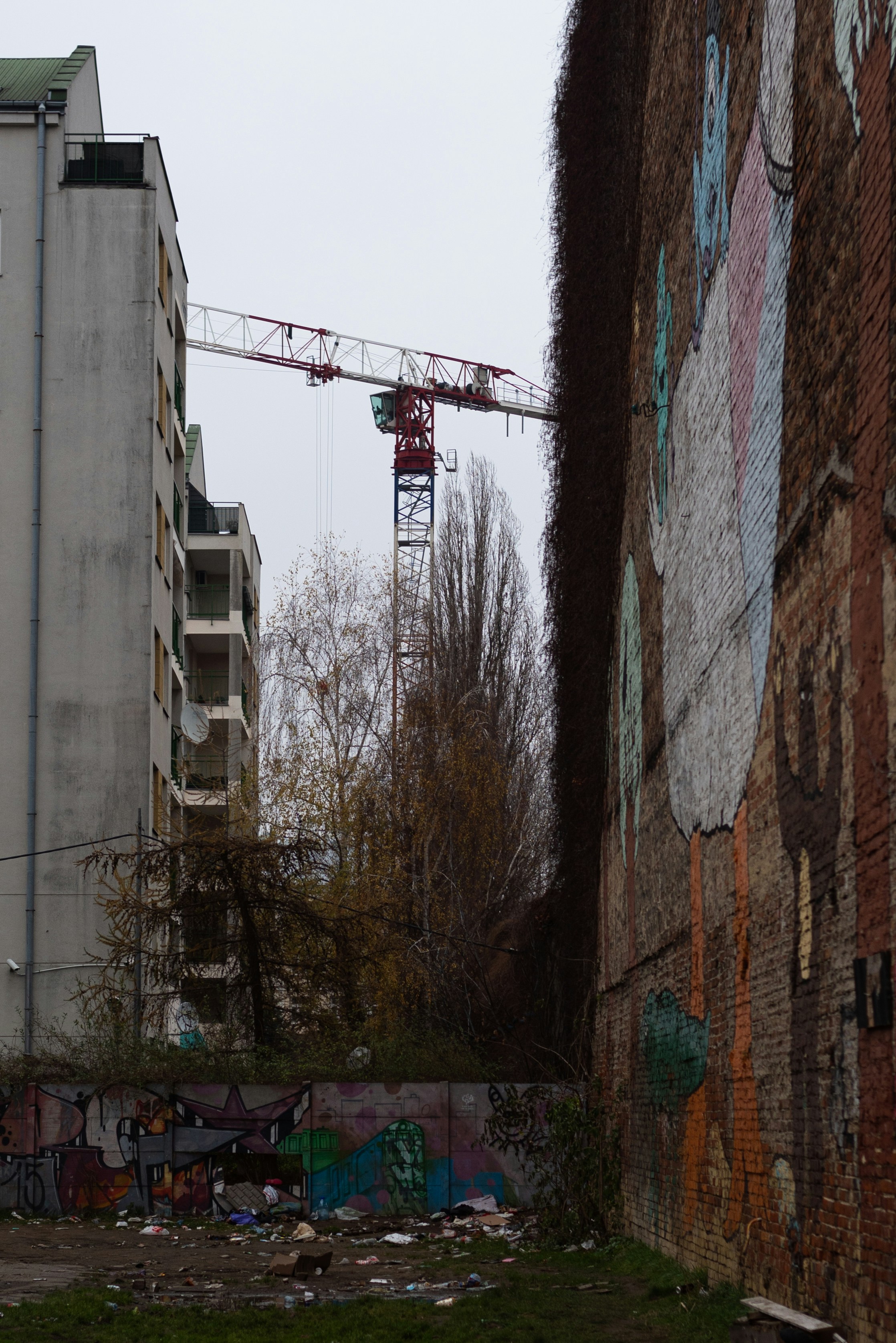 Crane Rising Over a Graffitied Alleyway