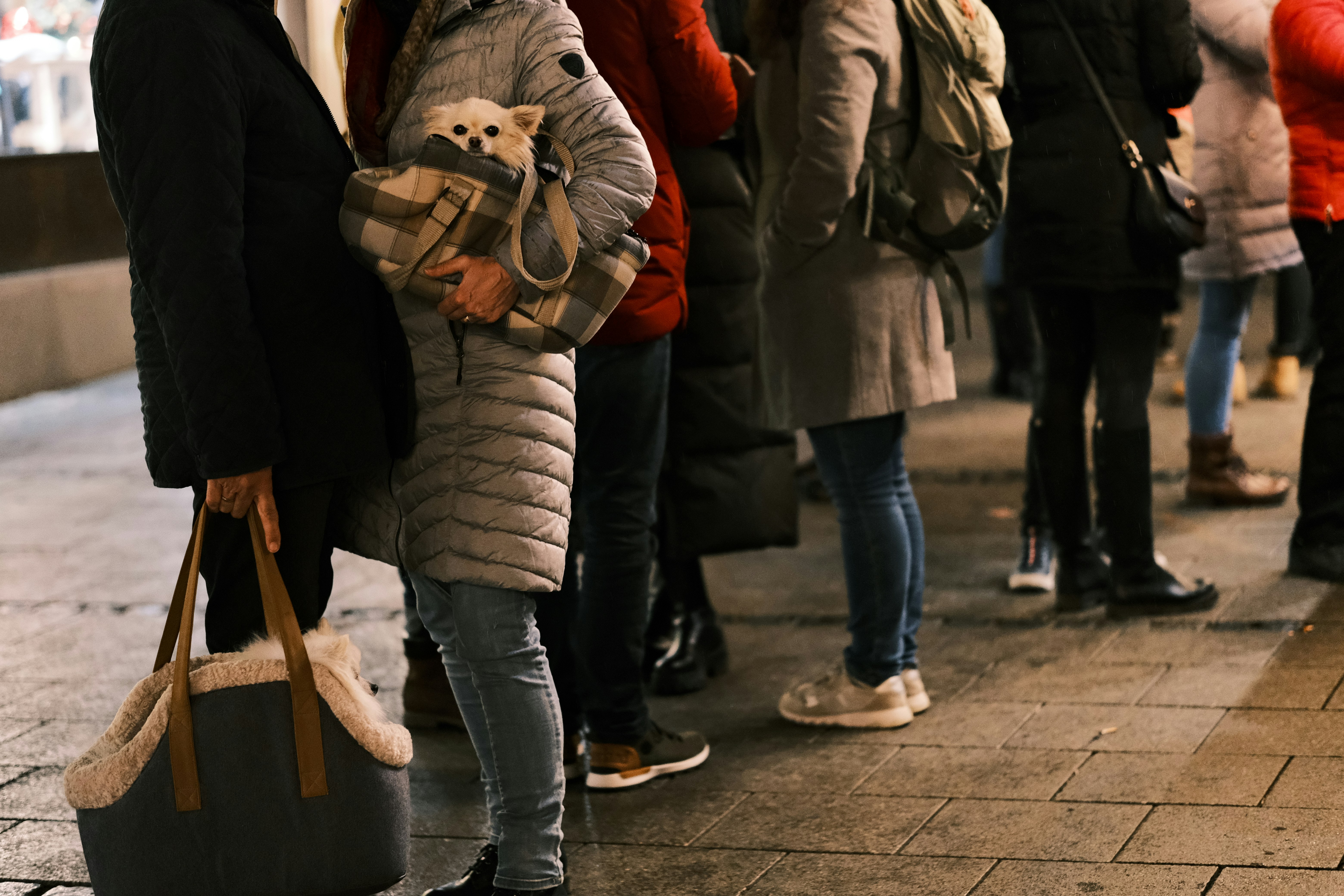 Queue Pictures [HQ] | Download Free Images on Unsplash